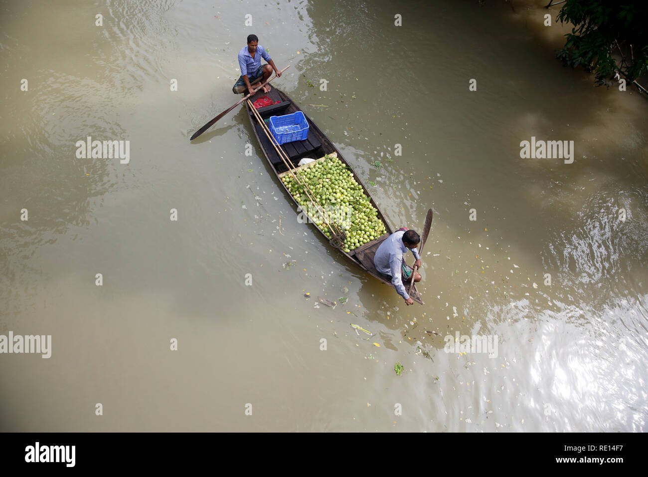 A farmer rows a boat full of Guavas on his way to Vimruli floating ...