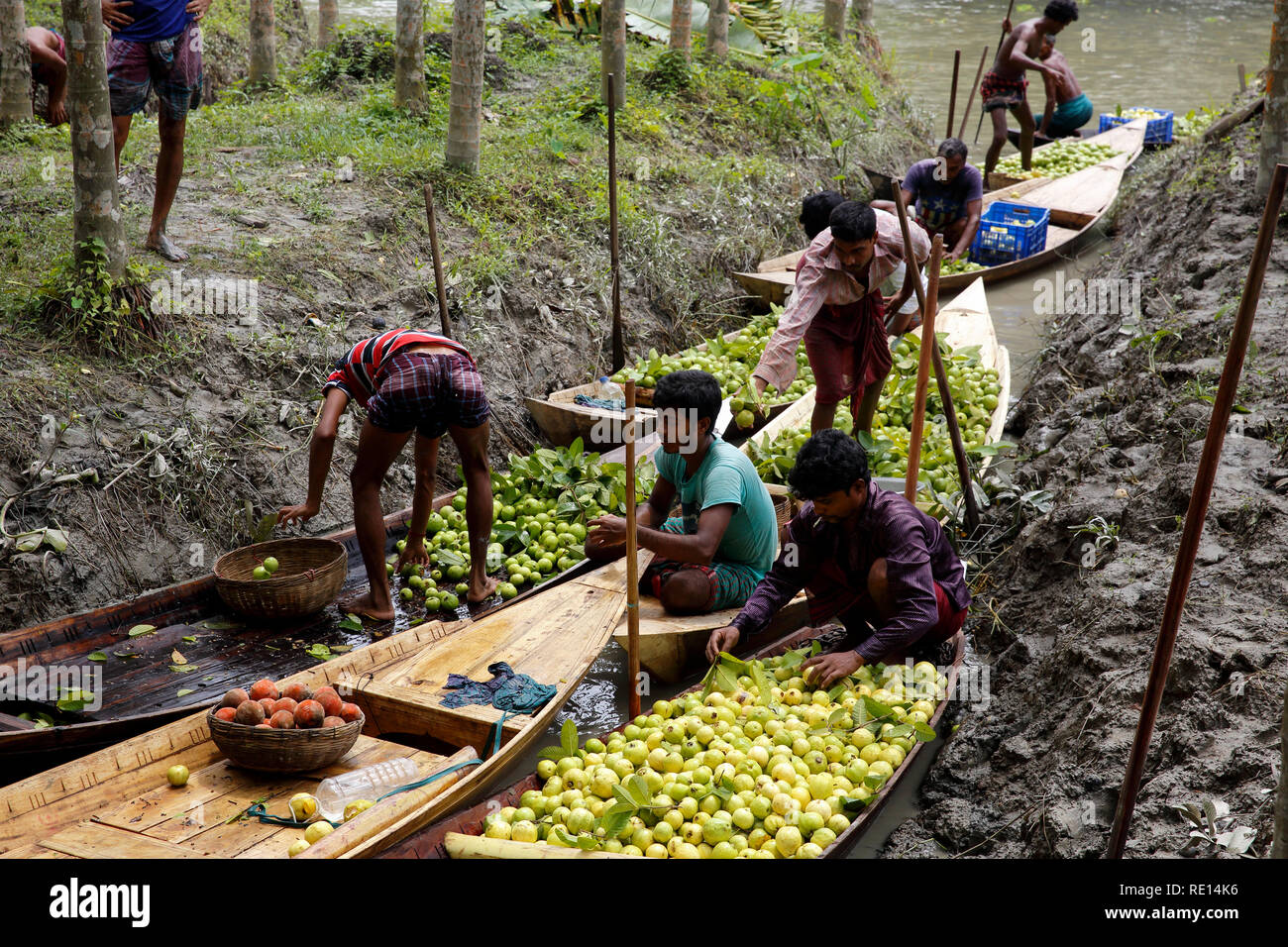 Small human powered boats hi-res stock photography and images - Alamy