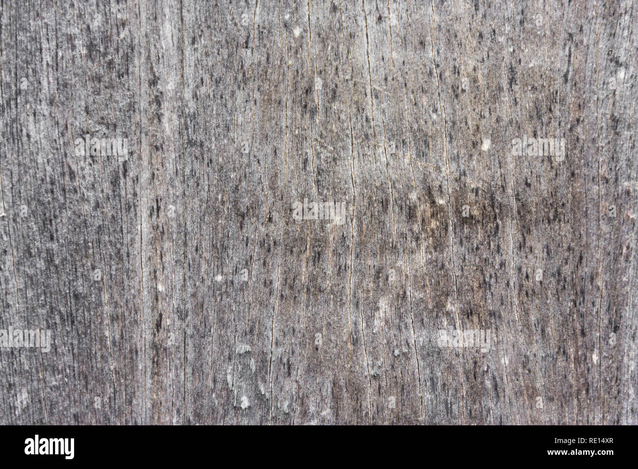 background with rustica wood texture aged by time Stock Photo - Alamy