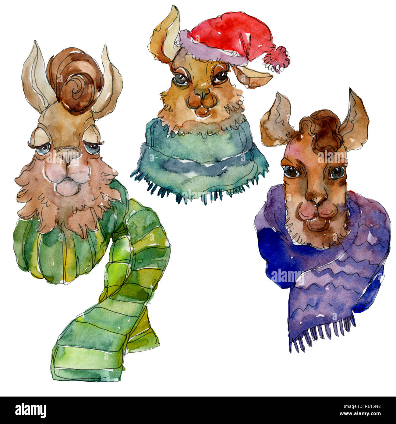 Cartoon character lama animal in a watercolor style. Watercolor ...