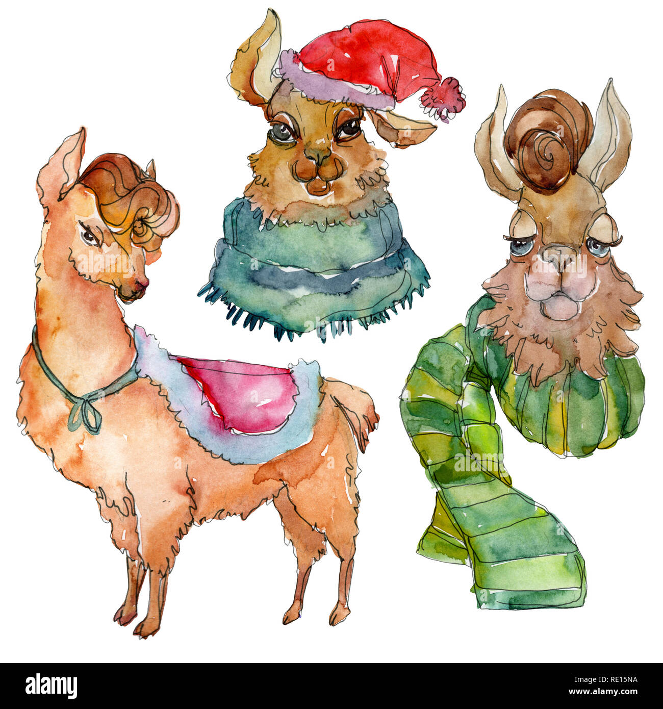 Cartoon character lama animal in a watercolor style. Watercolor ...