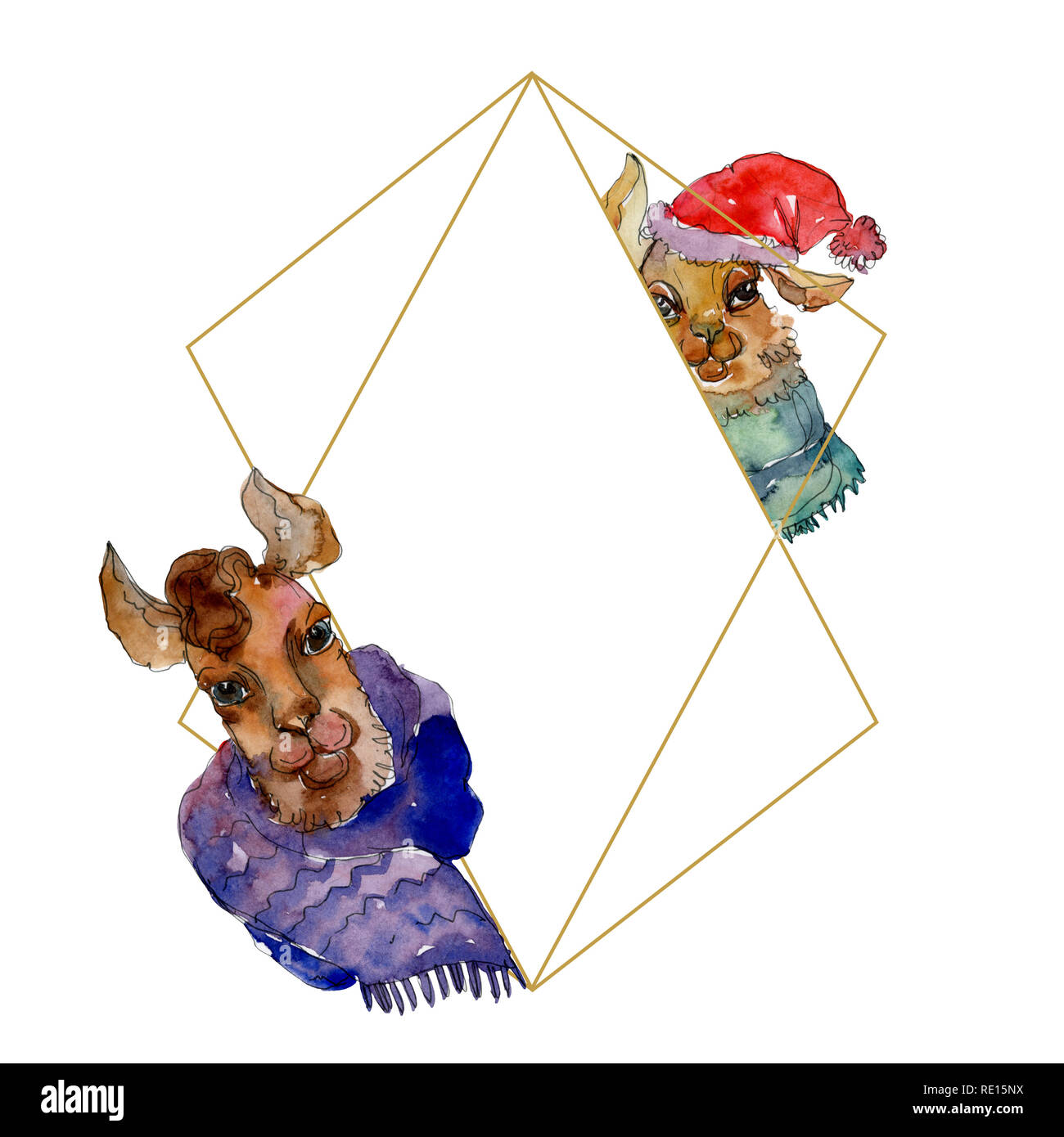 Cartoon character lama animal in a watercolor style. Watercolor ...