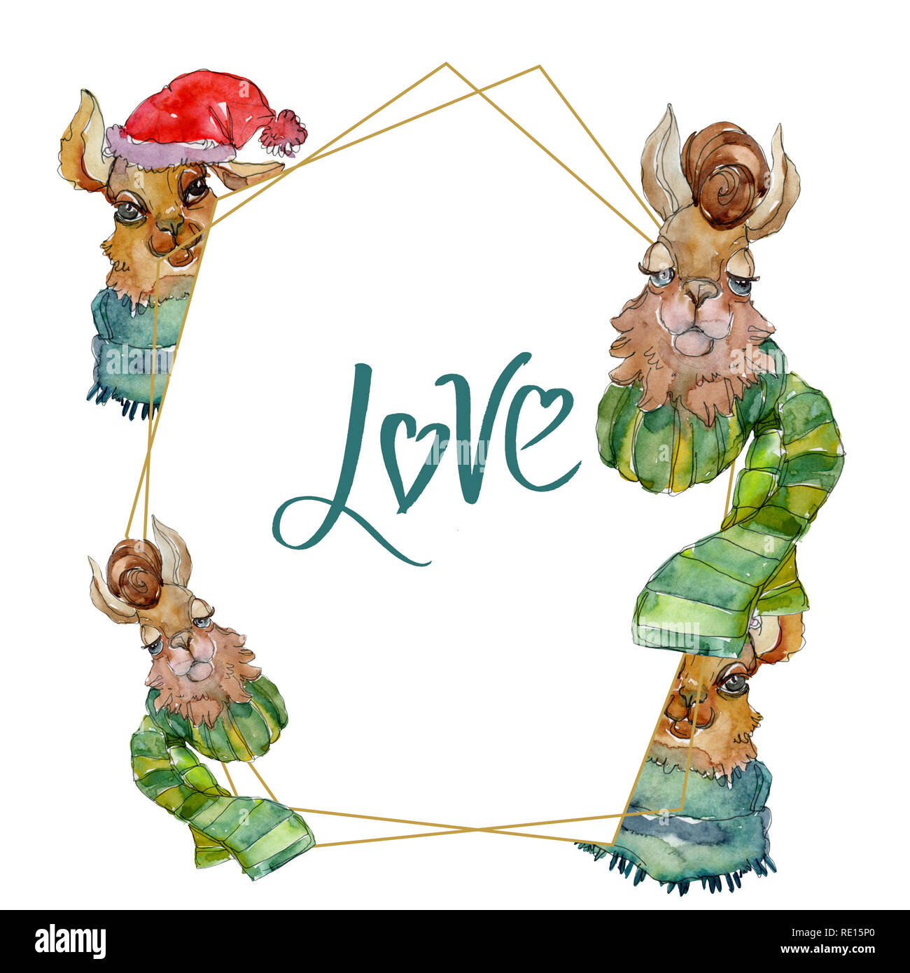 Cartoon character lama animal in a watercolor style. Watercolor ...