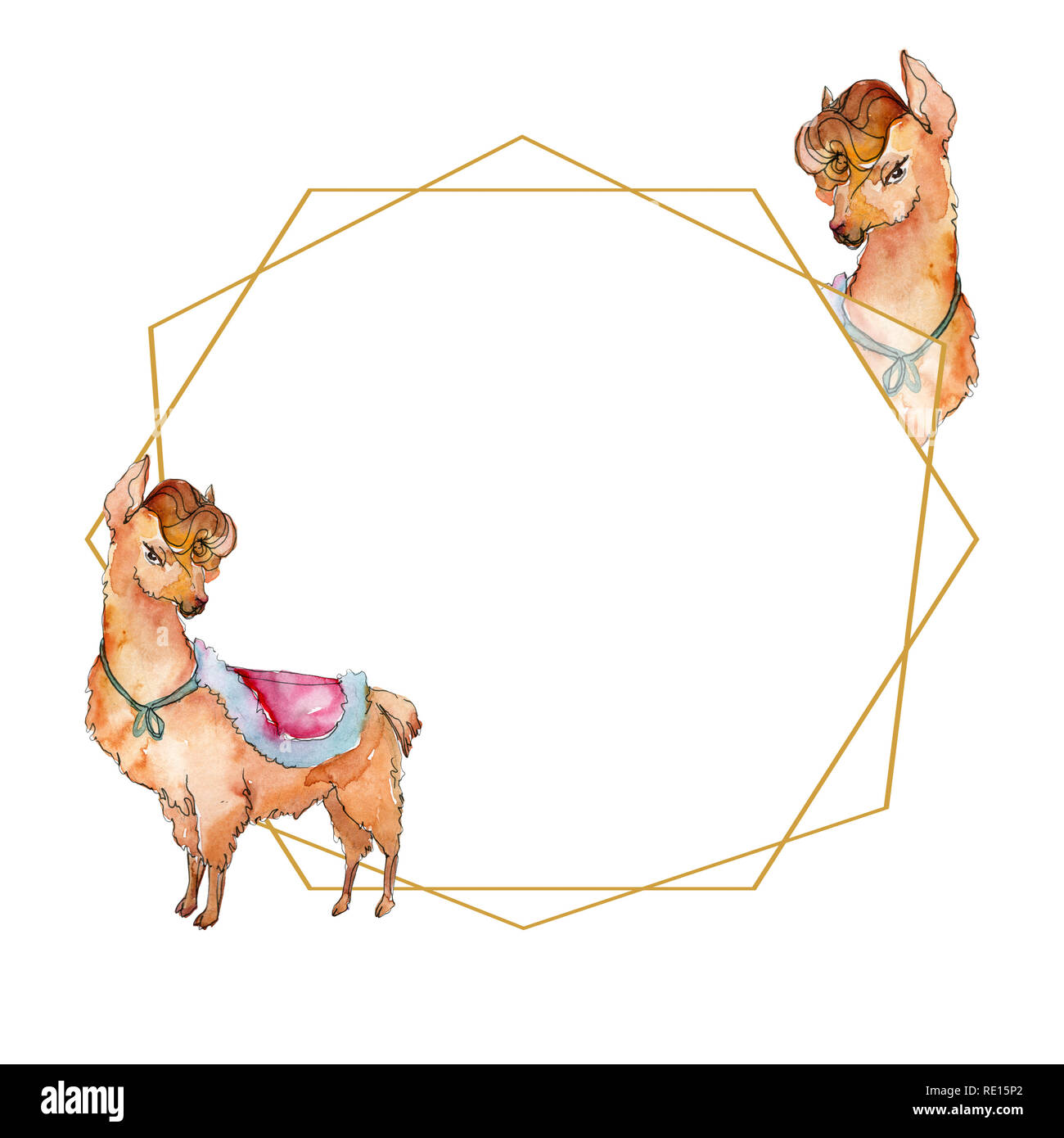 Cartoon character lama animal in a watercolor style. Watercolor ...