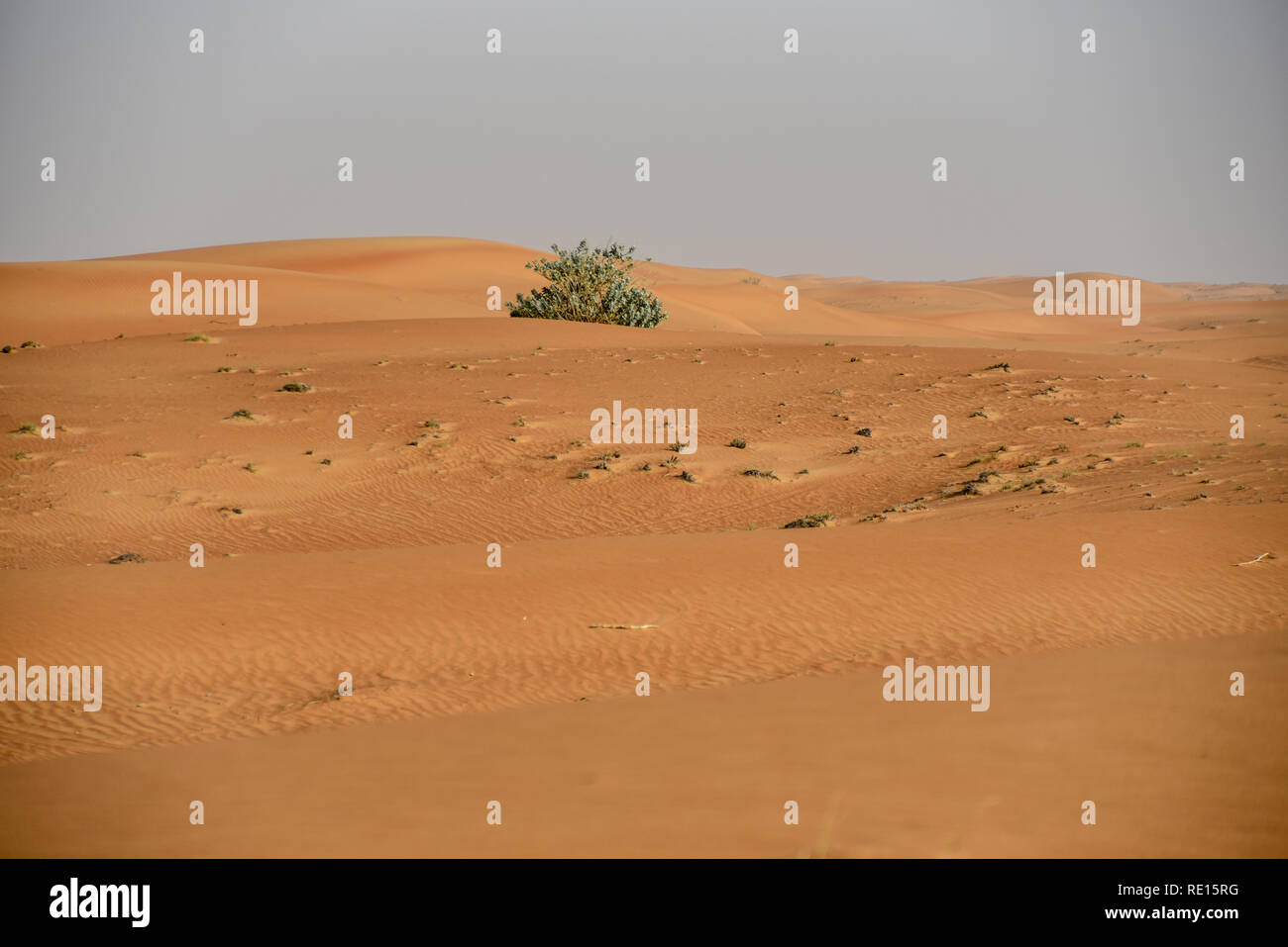 Pink Rock, Sharjah desert area, one of the most visited places for Off ...