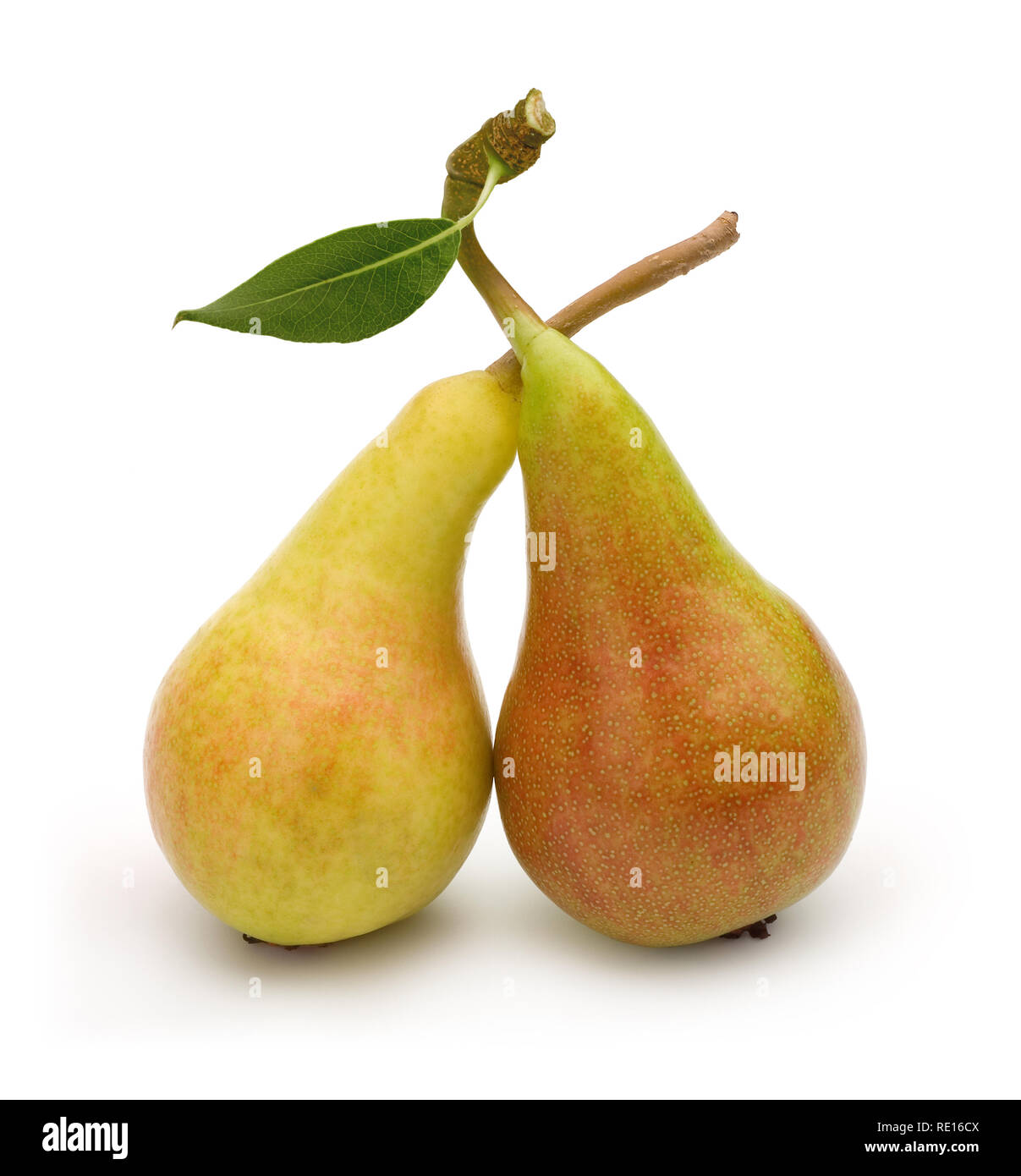 Pears and leaf isolated on white background Stock Photo - Alamy
