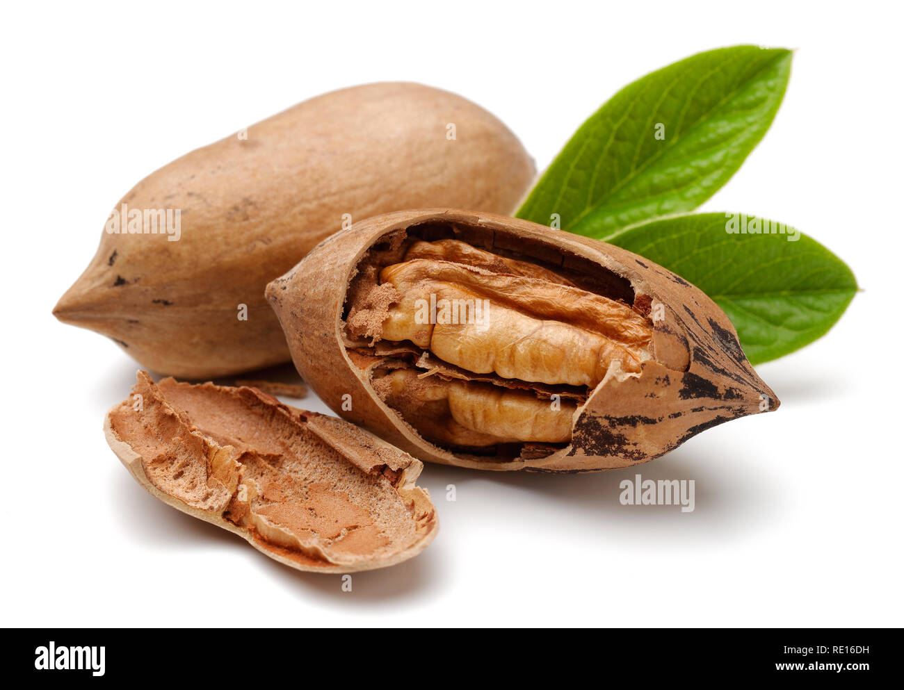 Pecan nuts and leaves isolated on white background Stock Photo - Alamy