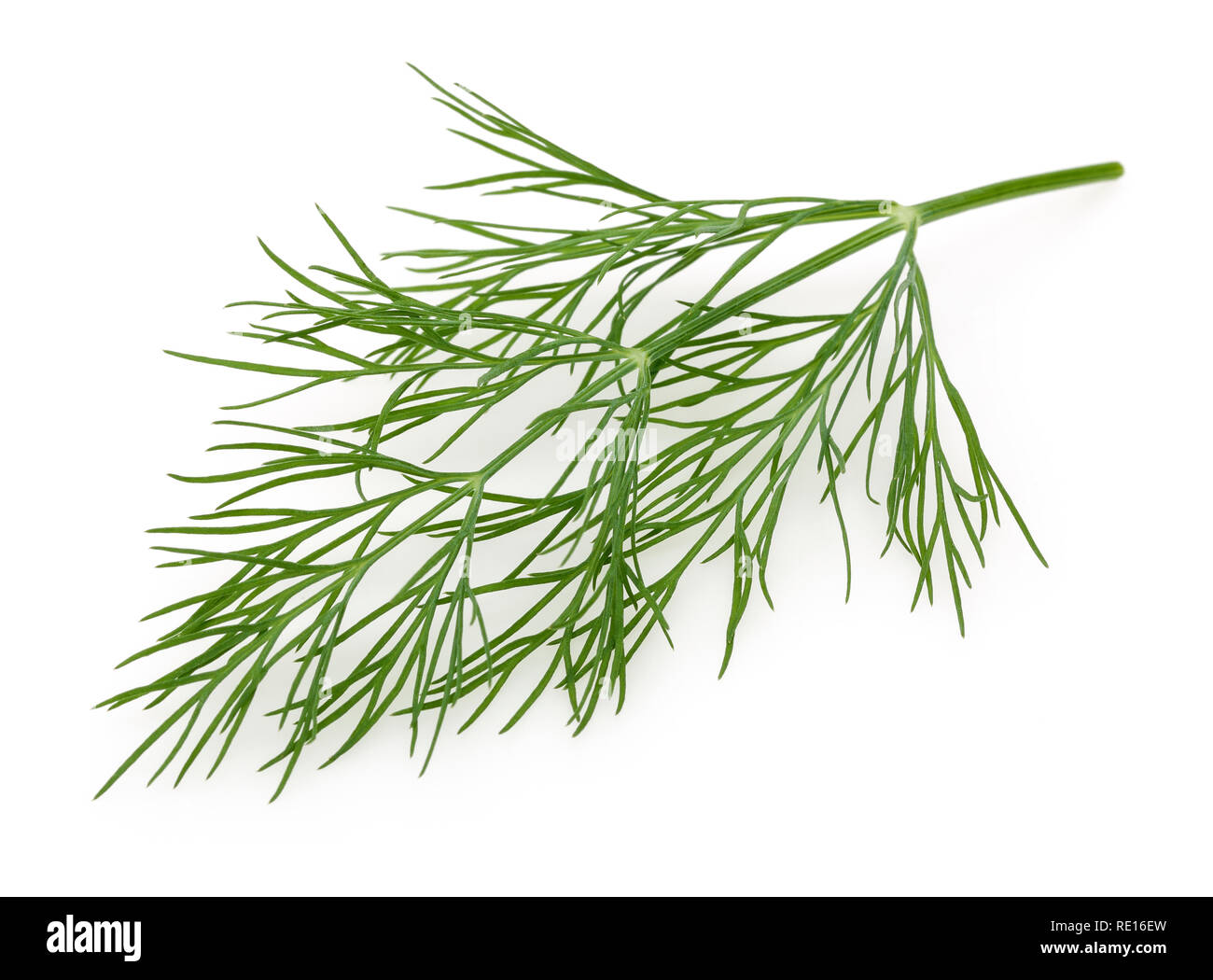 Fresh green dill isolated on white background Stock Photo - Alamy