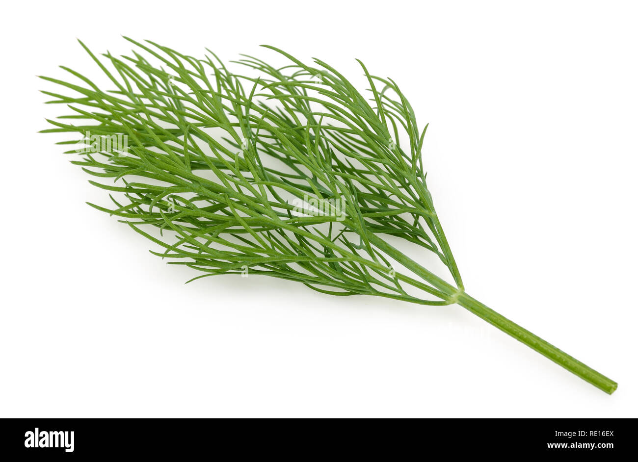 Fresh green dill isolated on white background Stock Photo - Alamy