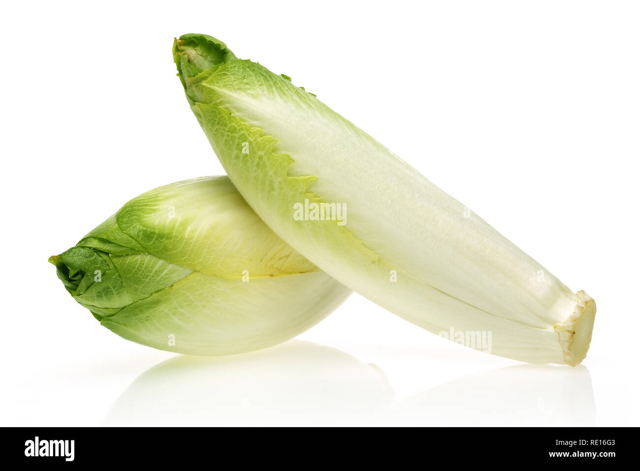 Fresh endive isolated on white background Stock Photo - Alamy