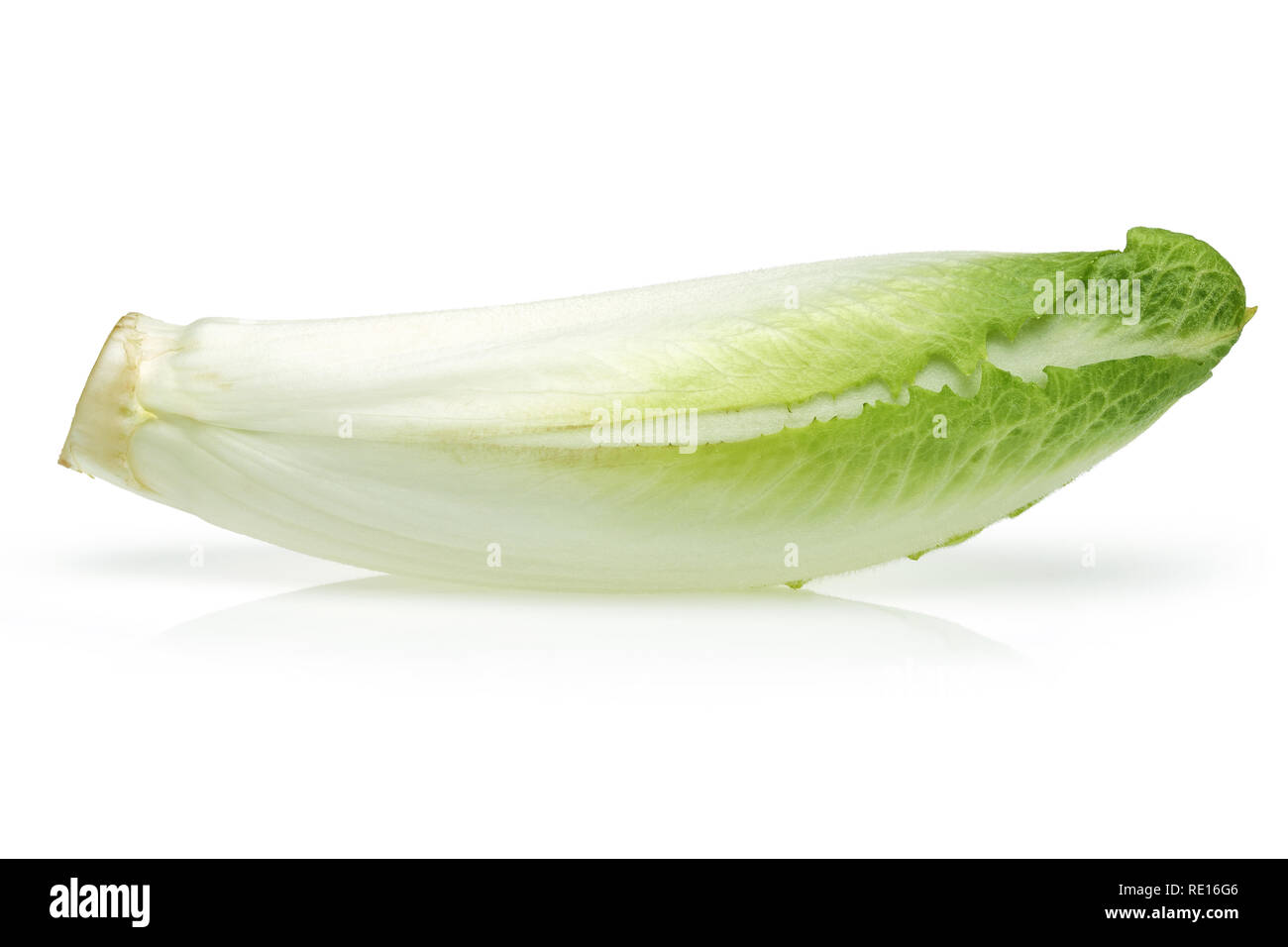 Fresh endive isolated on white background Stock Photo - Alamy