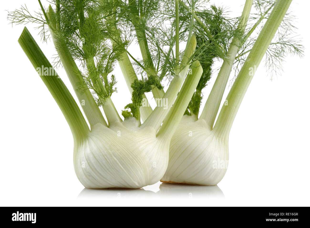 Fresh fennel bulb with leaves isolated on white background Stock Photo ...