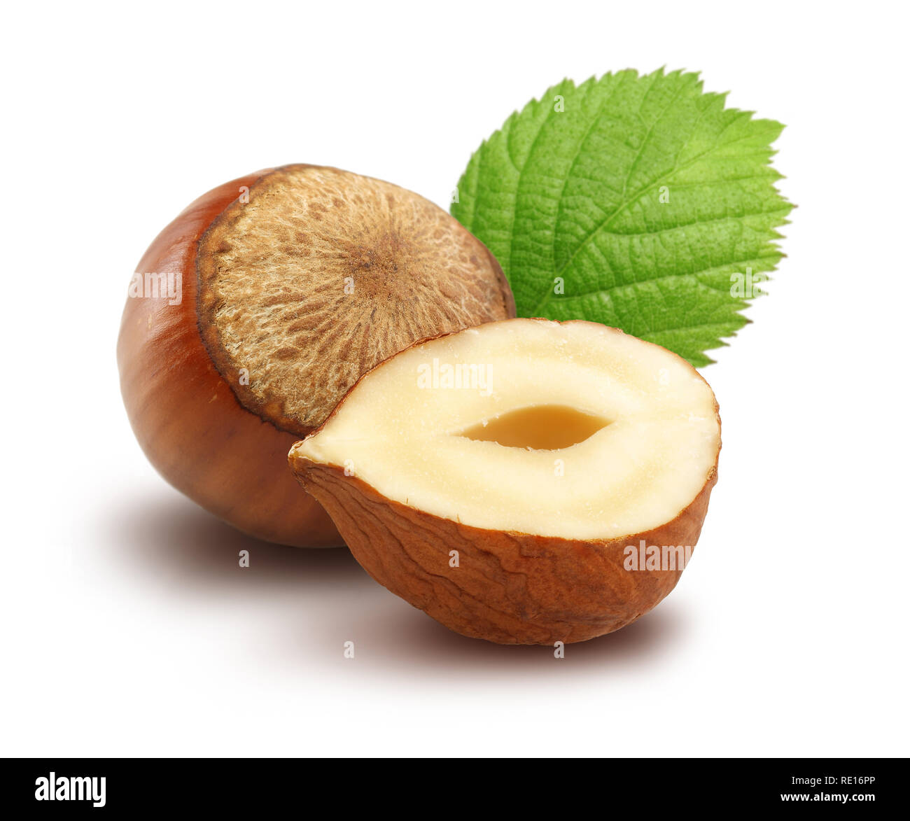 Hazelnuts and leaf isolated on white background Stock Photo - Alamy