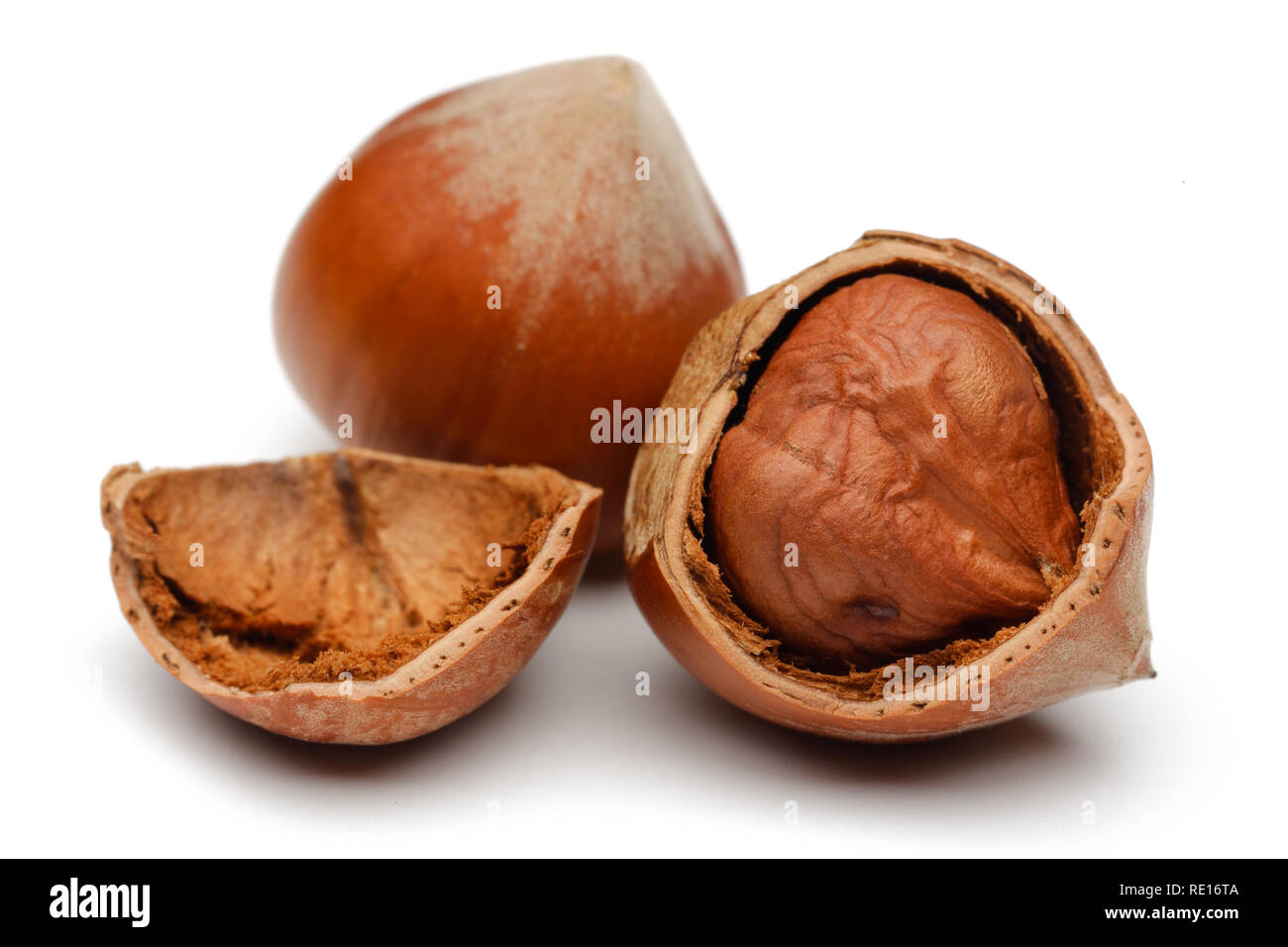 Pile unshelled hazelnuts isolated hi-res stock photography and images ...