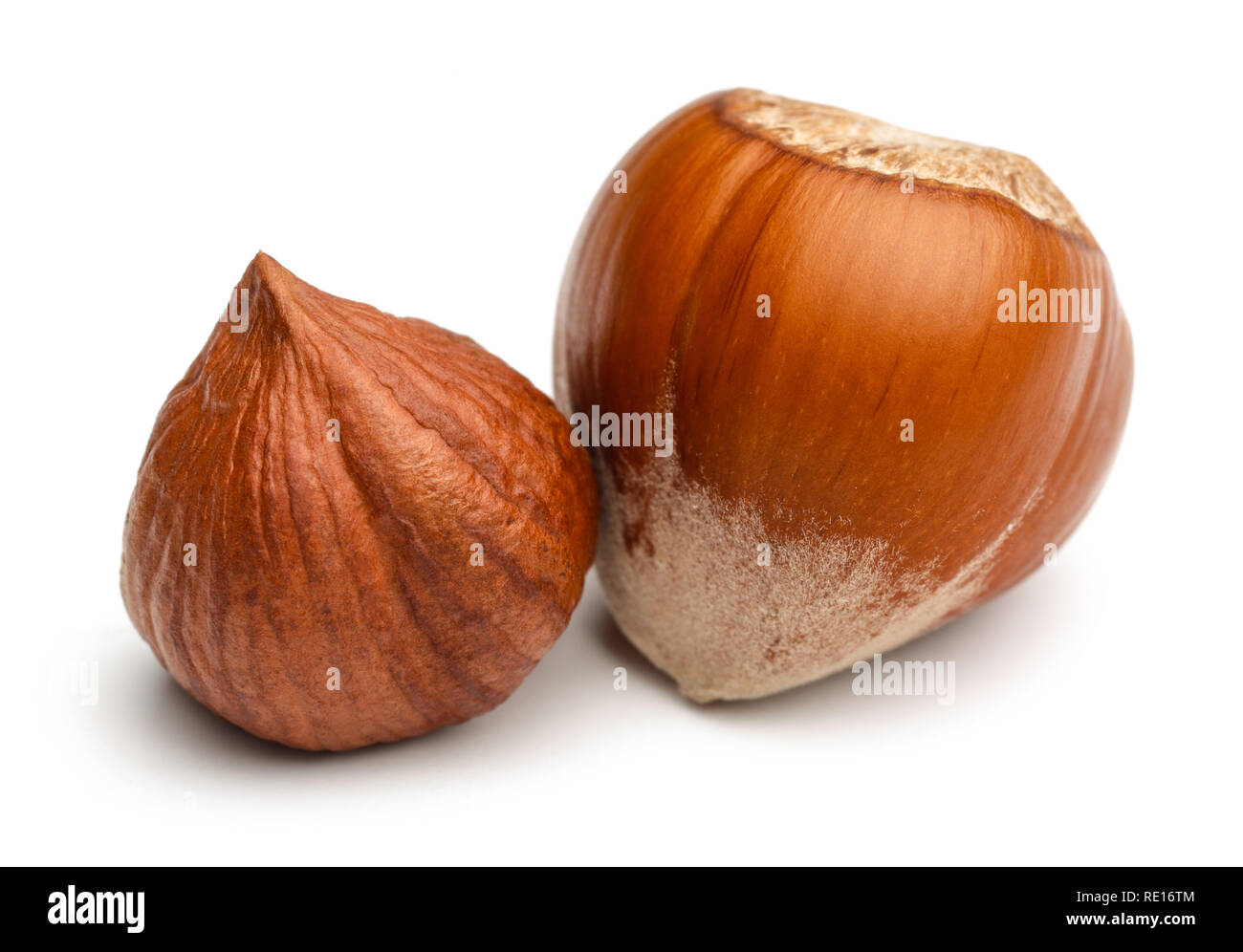 Hazelnuts isolated on white background. Macro, studio shot Stock Photo ...