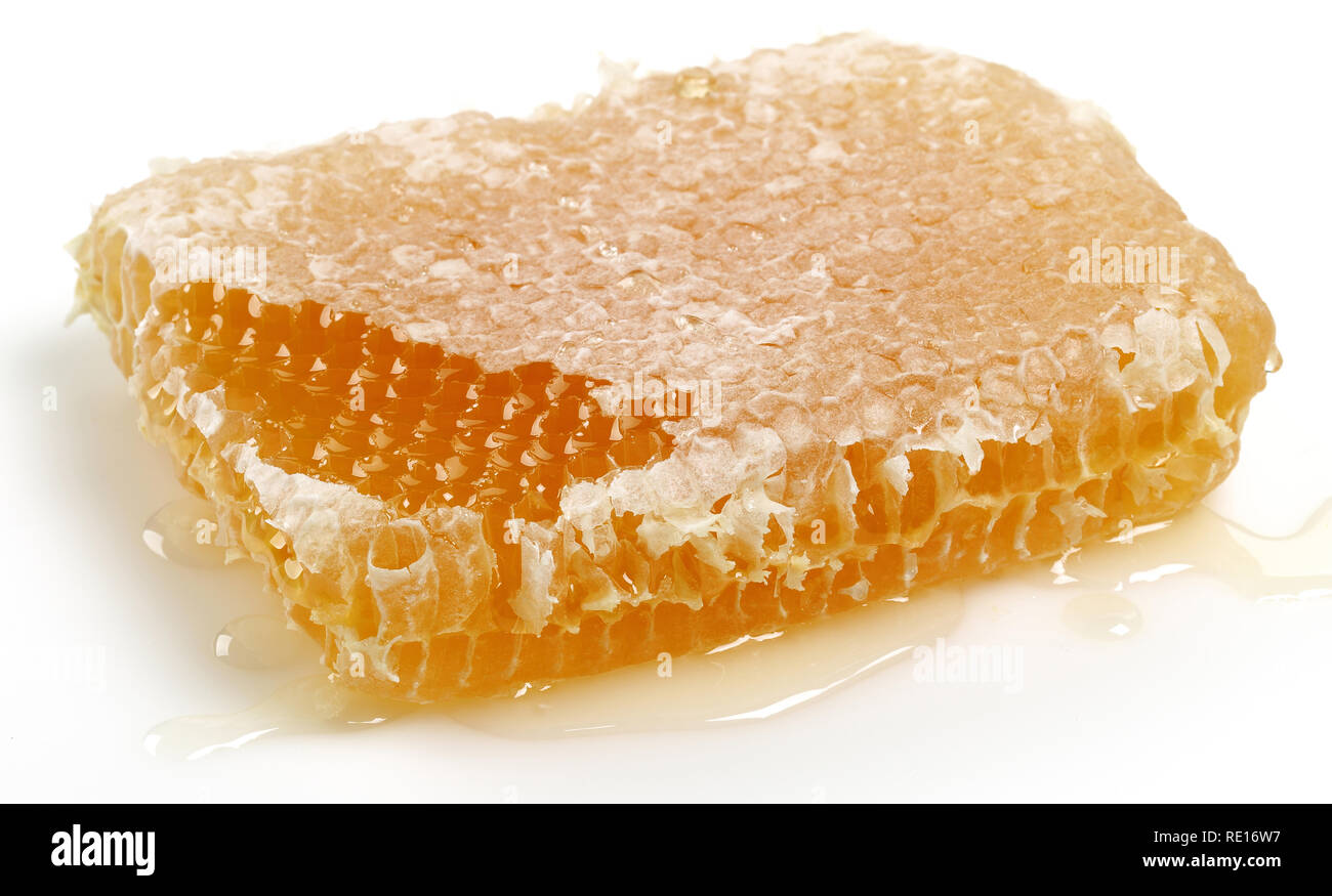Honeycomb isolated on white background Stock Photo - Alamy