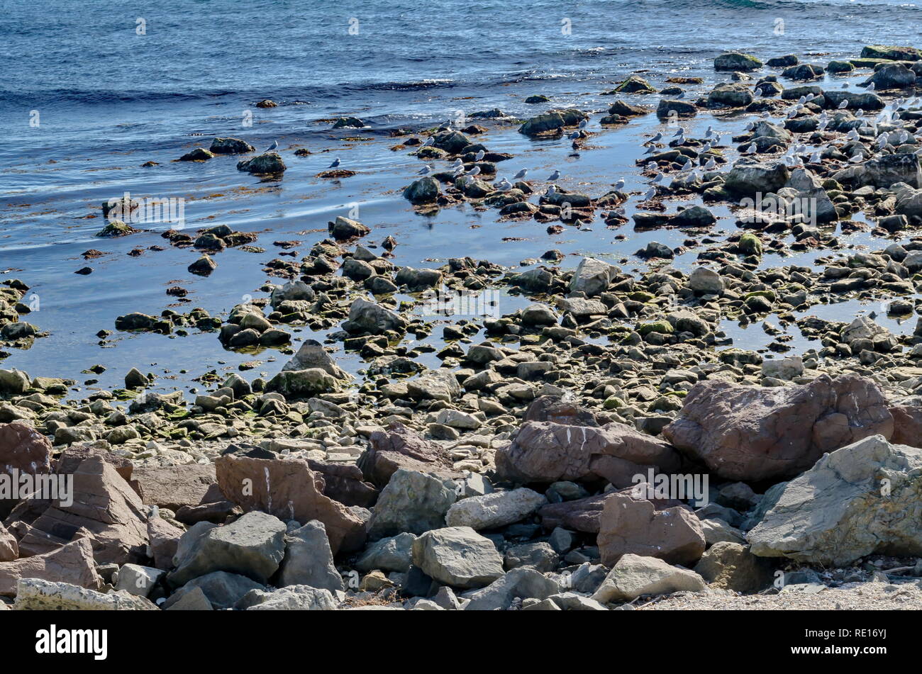 Life by seashore in Black sea Nessebar, Bulgaria Stock Photo - Alamy
