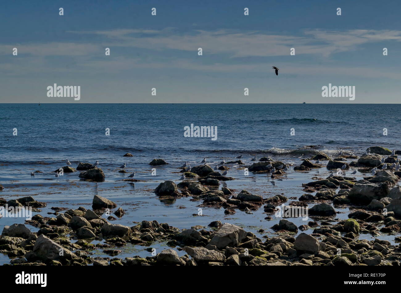 Life by seashore in Black sea Nessebar, Bulgaria Stock Photo - Alamy