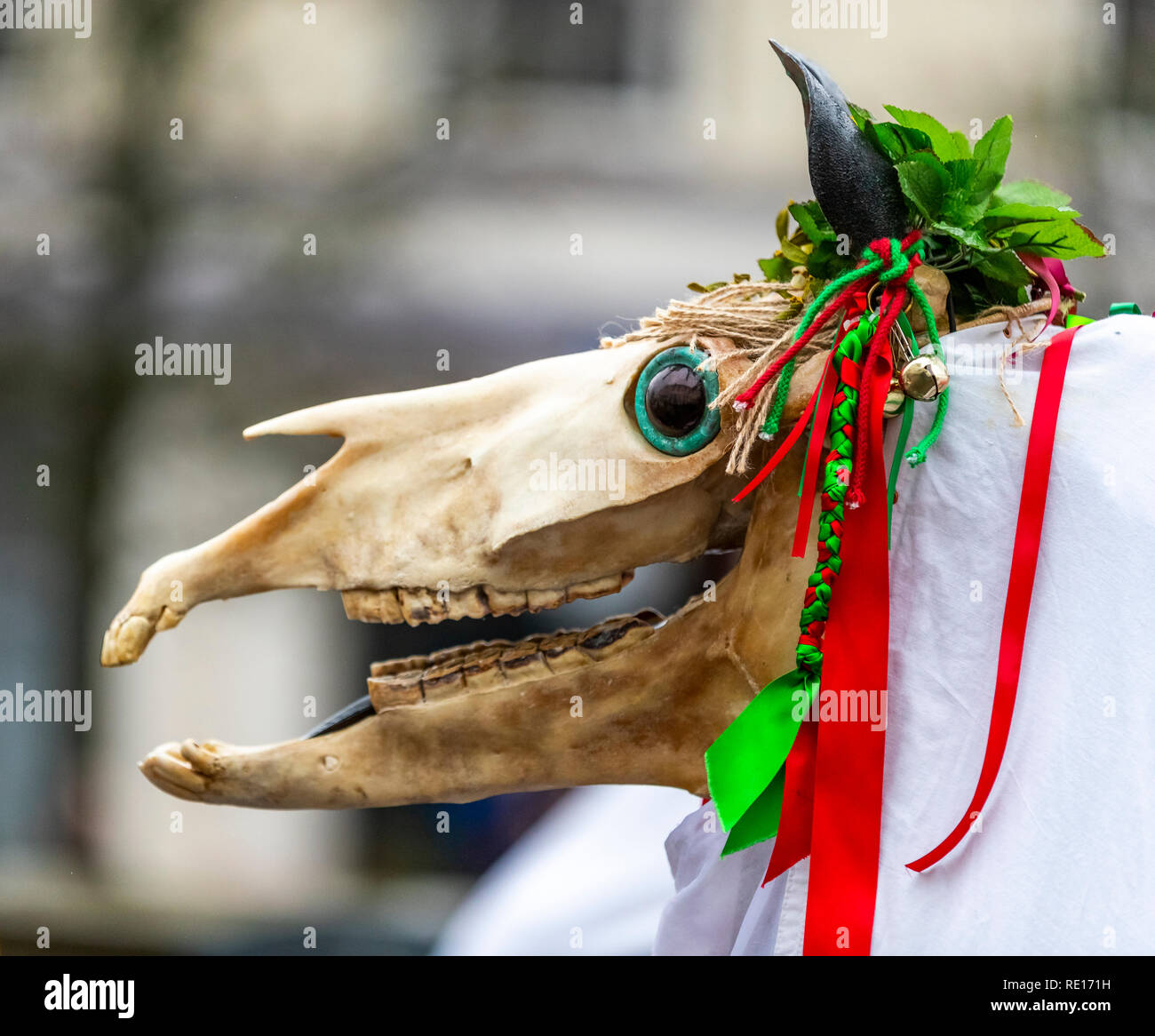 Mari lwyd hi-res stock photography and images - Alamy