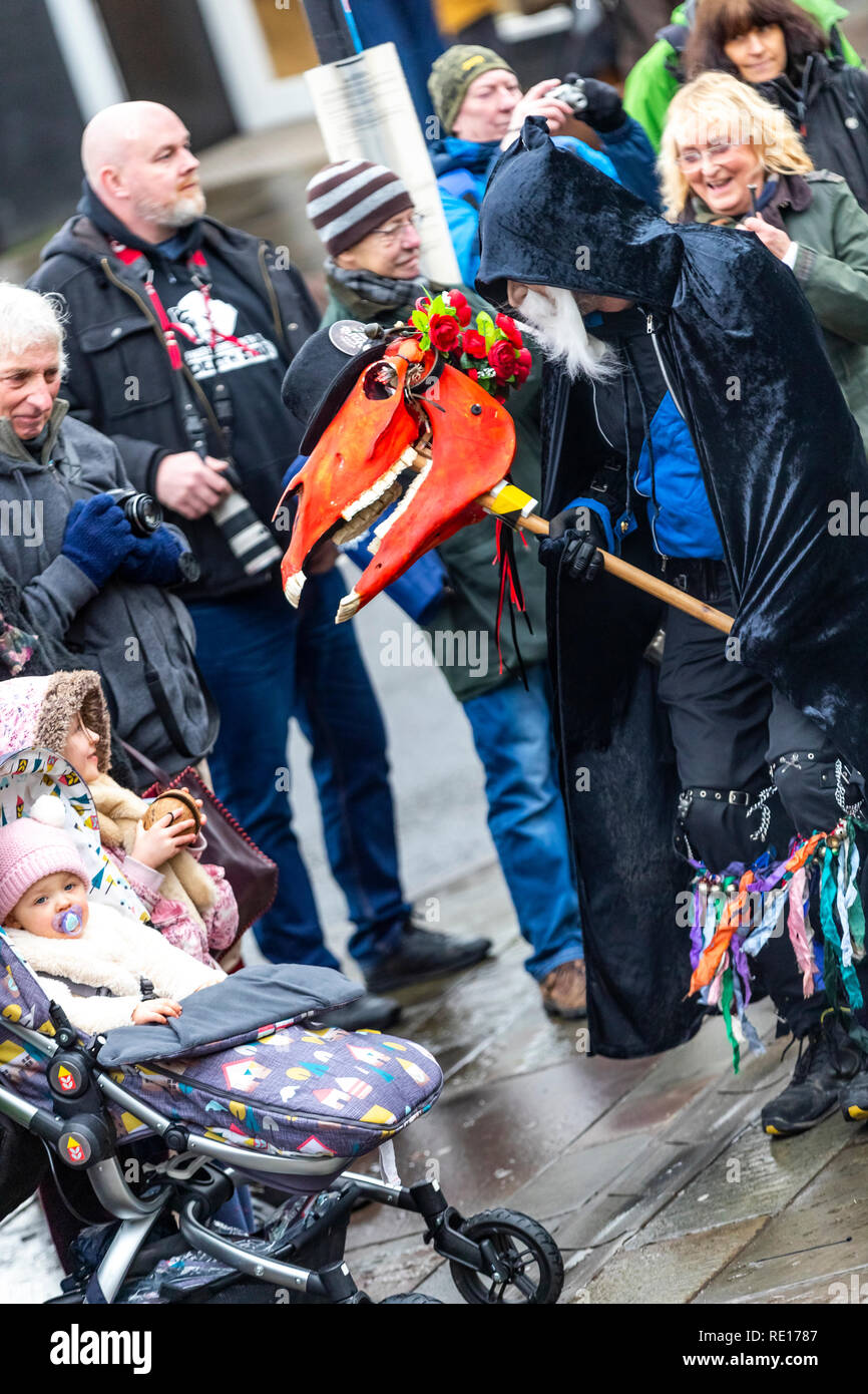 Mari lwyd horse skull hi-res stock photography and images - Alamy