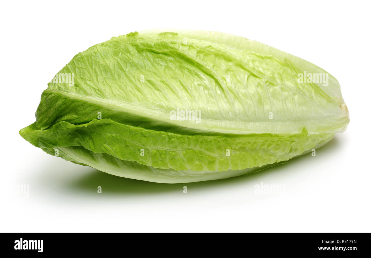 Fresh green cos lettuce isolated on white background Stock Photo - Alamy