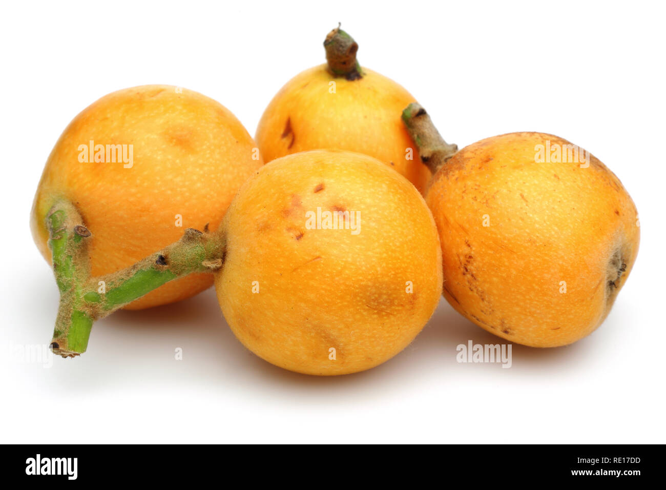 Ripe Loquat fruit or Japanese Plum isolated on white background Stock ...