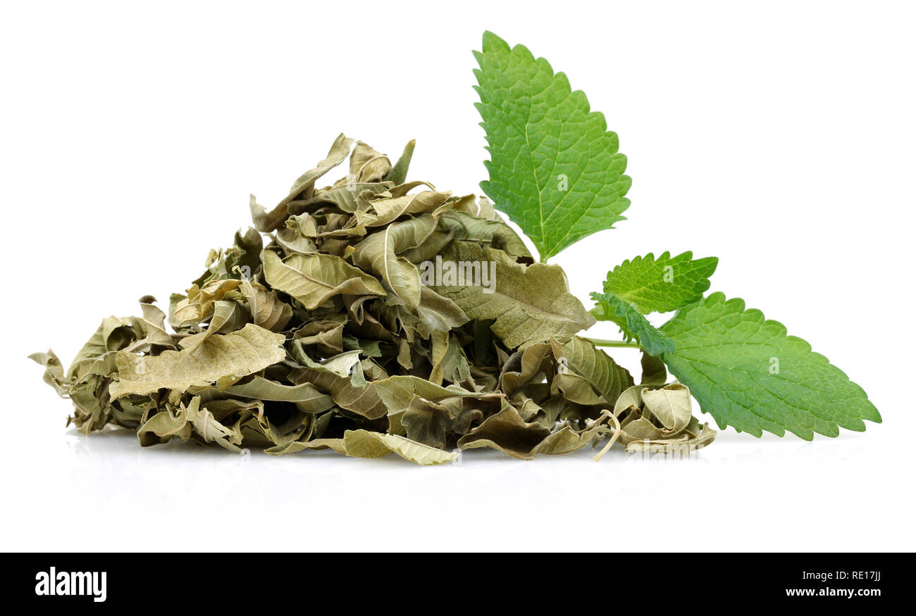 Dry and Fresh lemon balm leaves, isolated on white background Stock ...