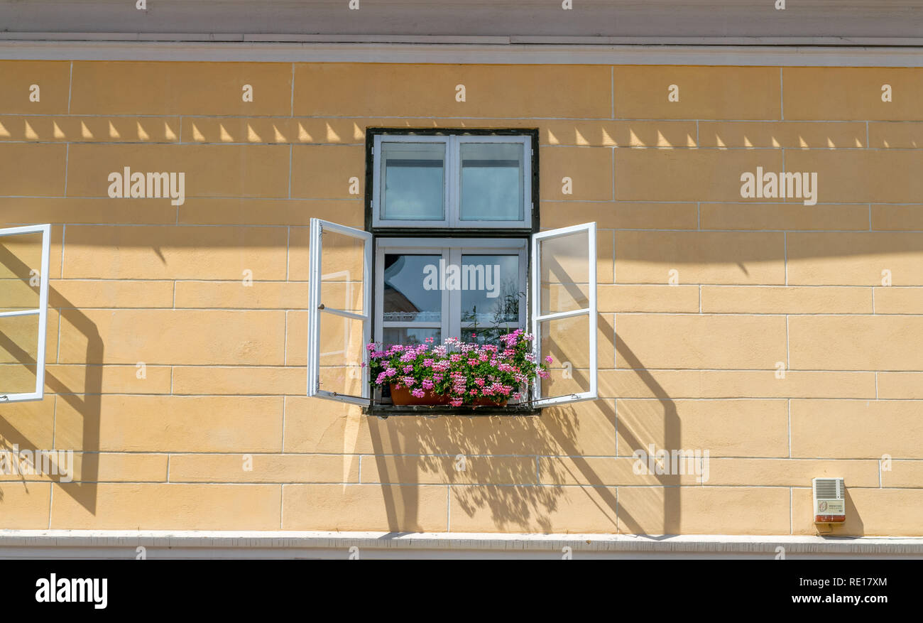 Beautiful window with pink flowers on a sunny summer day in Sibiu ...