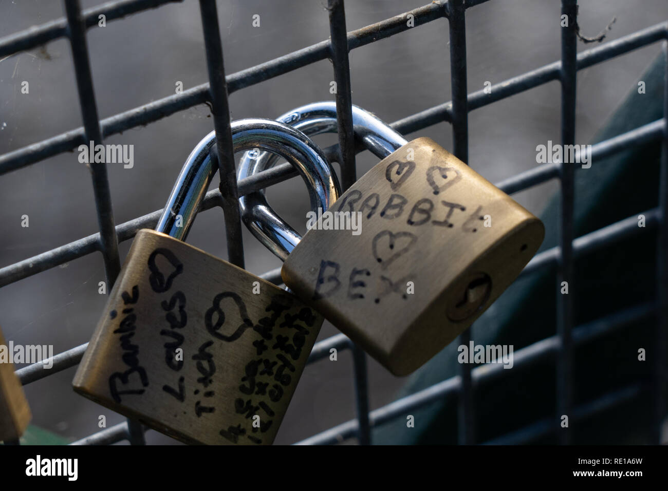 Two padlocks locked together on a metal fence with names written on ...