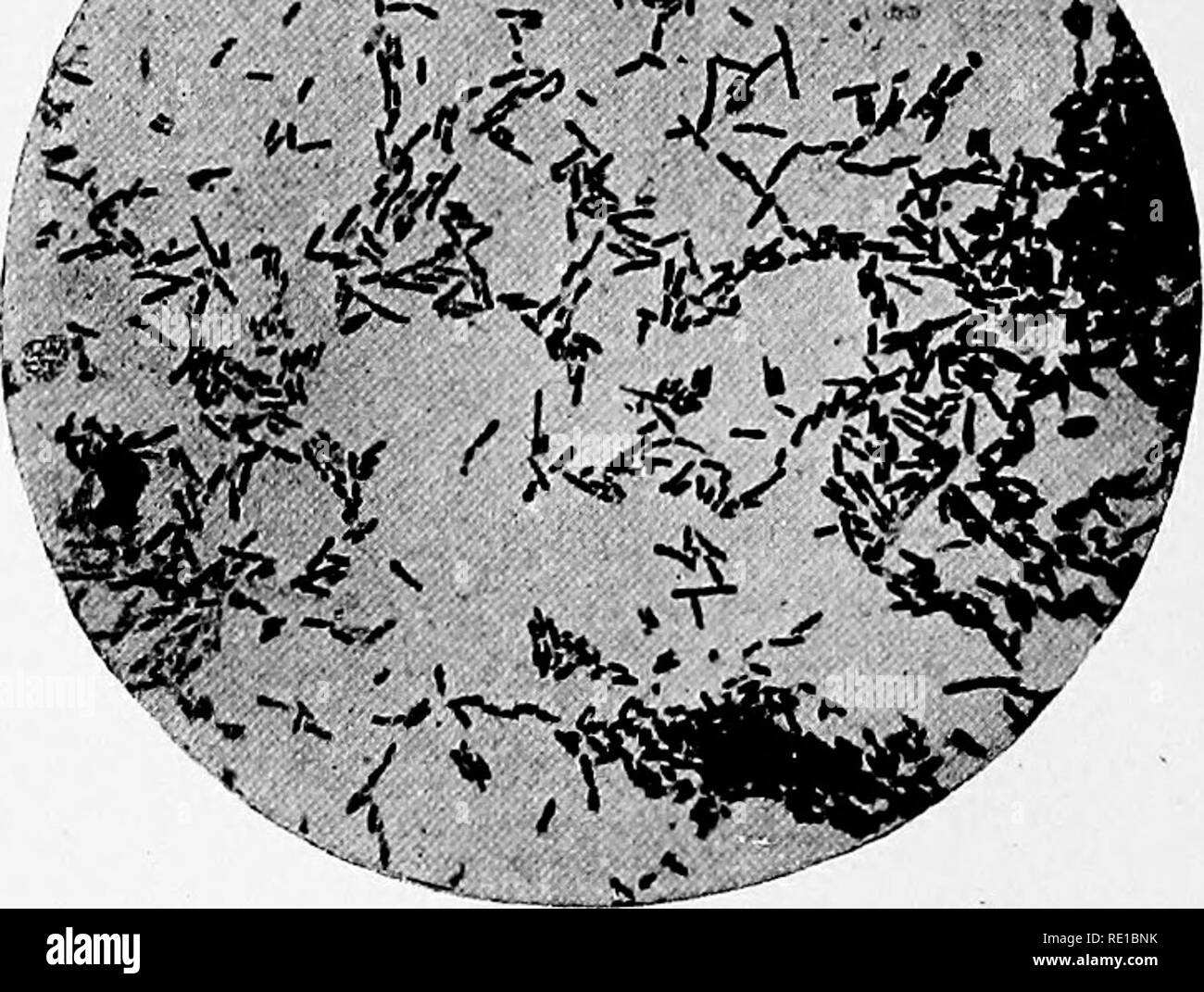 Non dyes Black and White Stock Photos & Images - Alamy