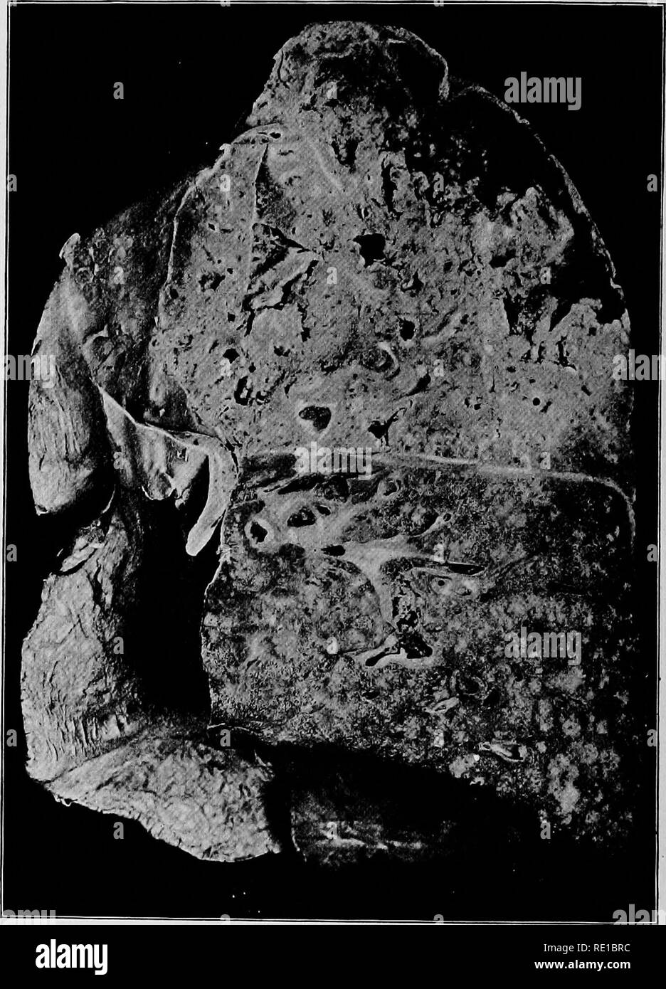 Miliary formation hi-res stock photography and images - Alamy