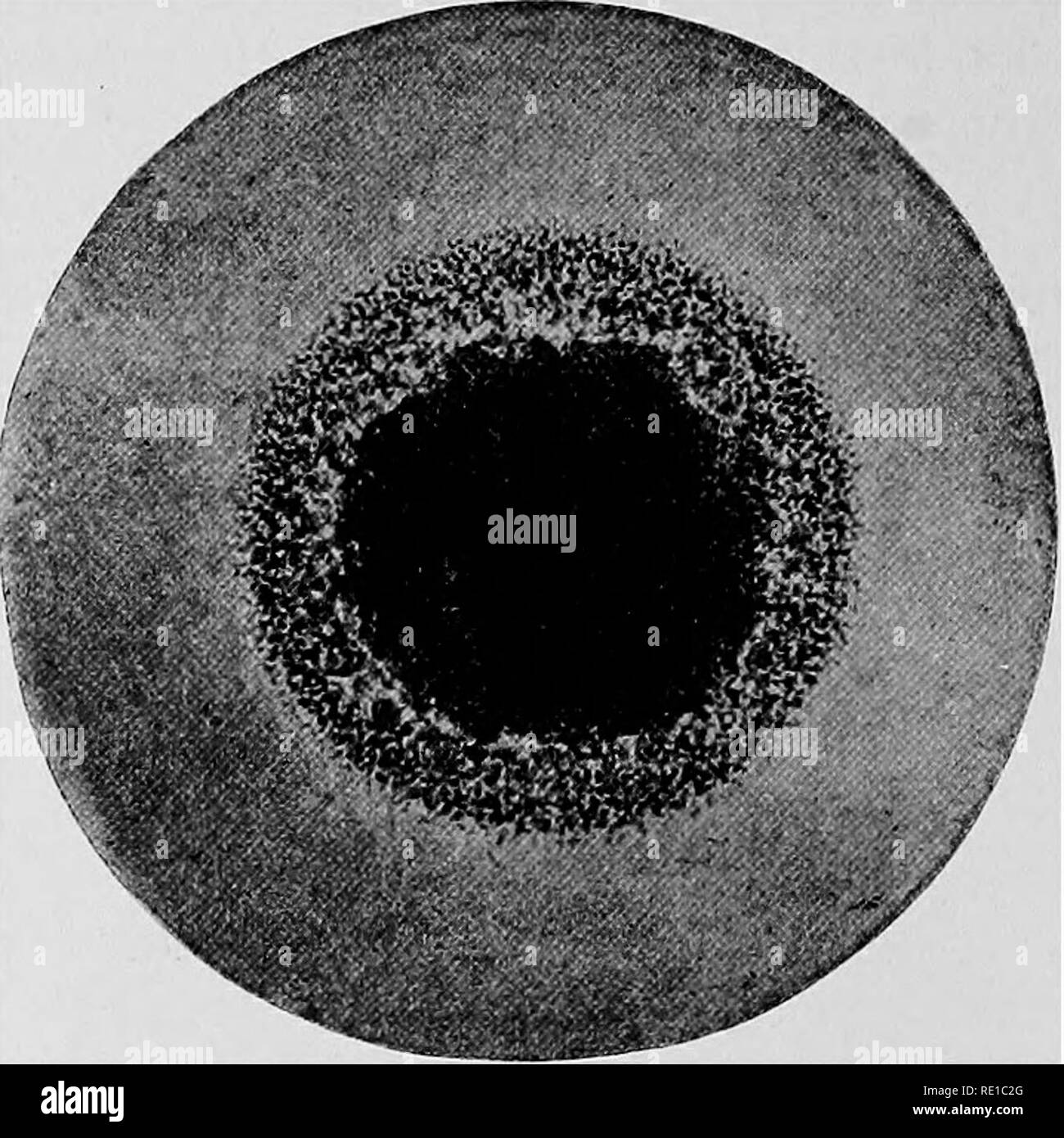 Funnel shaped top Black and White Stock Photos & Images - Alamy