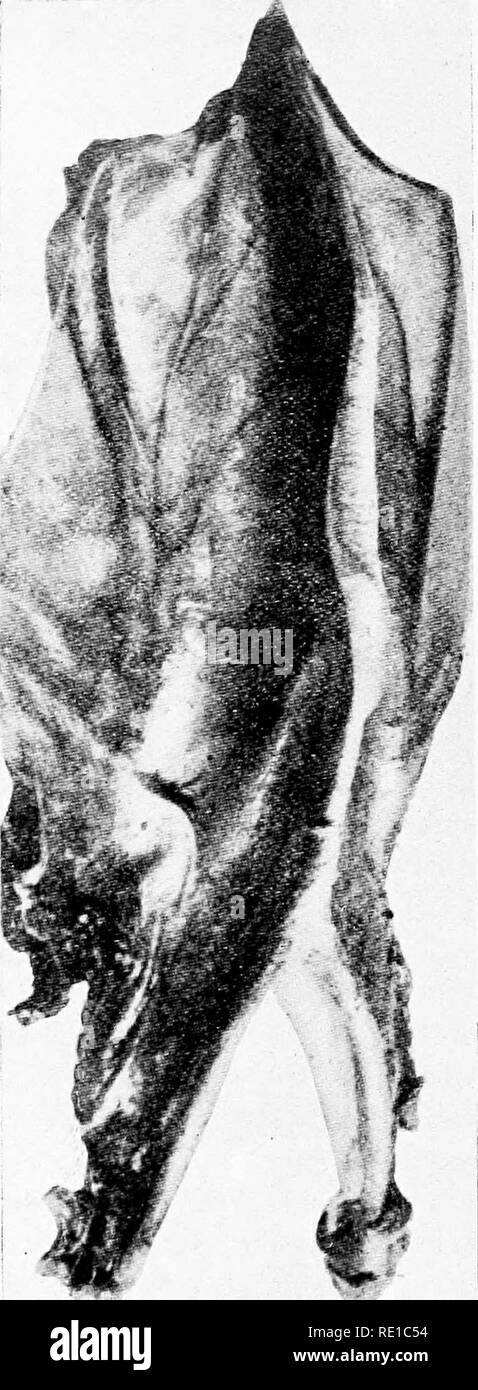 Notice of mia hi-res stock photography and images - Alamy