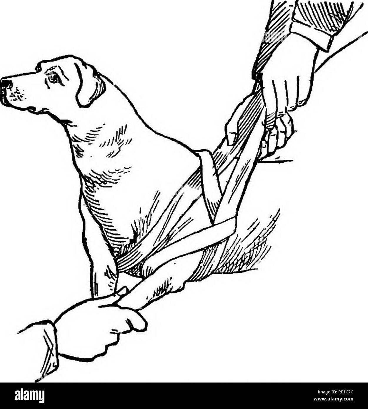 . A treatise on the diseases of the dog; being a manual of canine ...