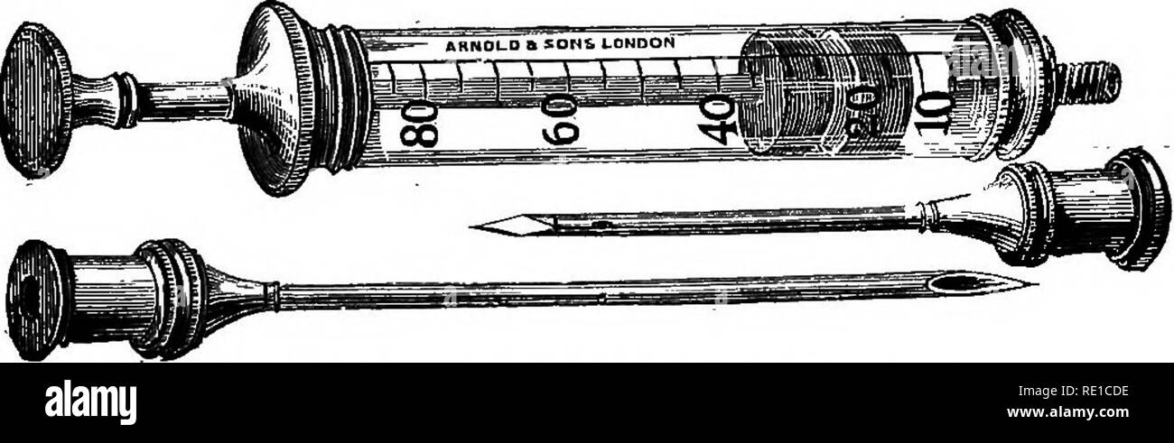 . A treatise on the diseases of the dog; being a manual of canine ...