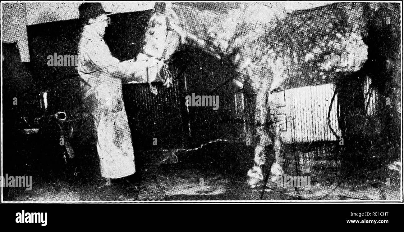 . Fistula of the withers and poll-evil . Fistula; Horses. Fig. 3.—A ...