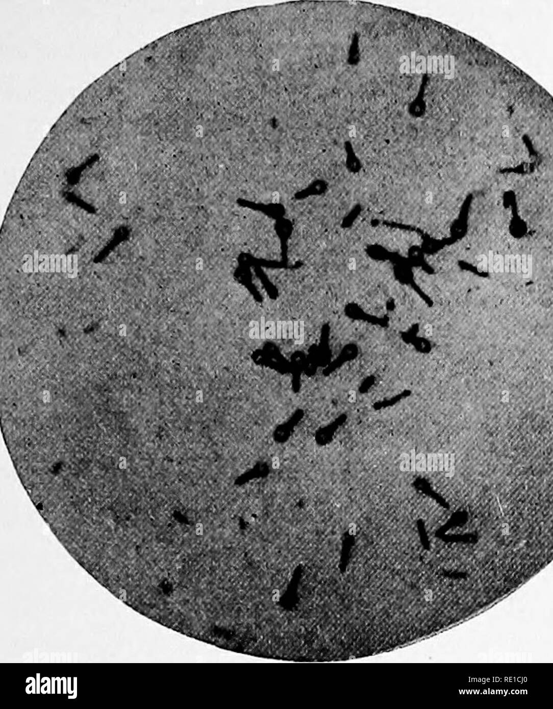 Joseph frankel Black and White Stock Photos & Images - Alamy