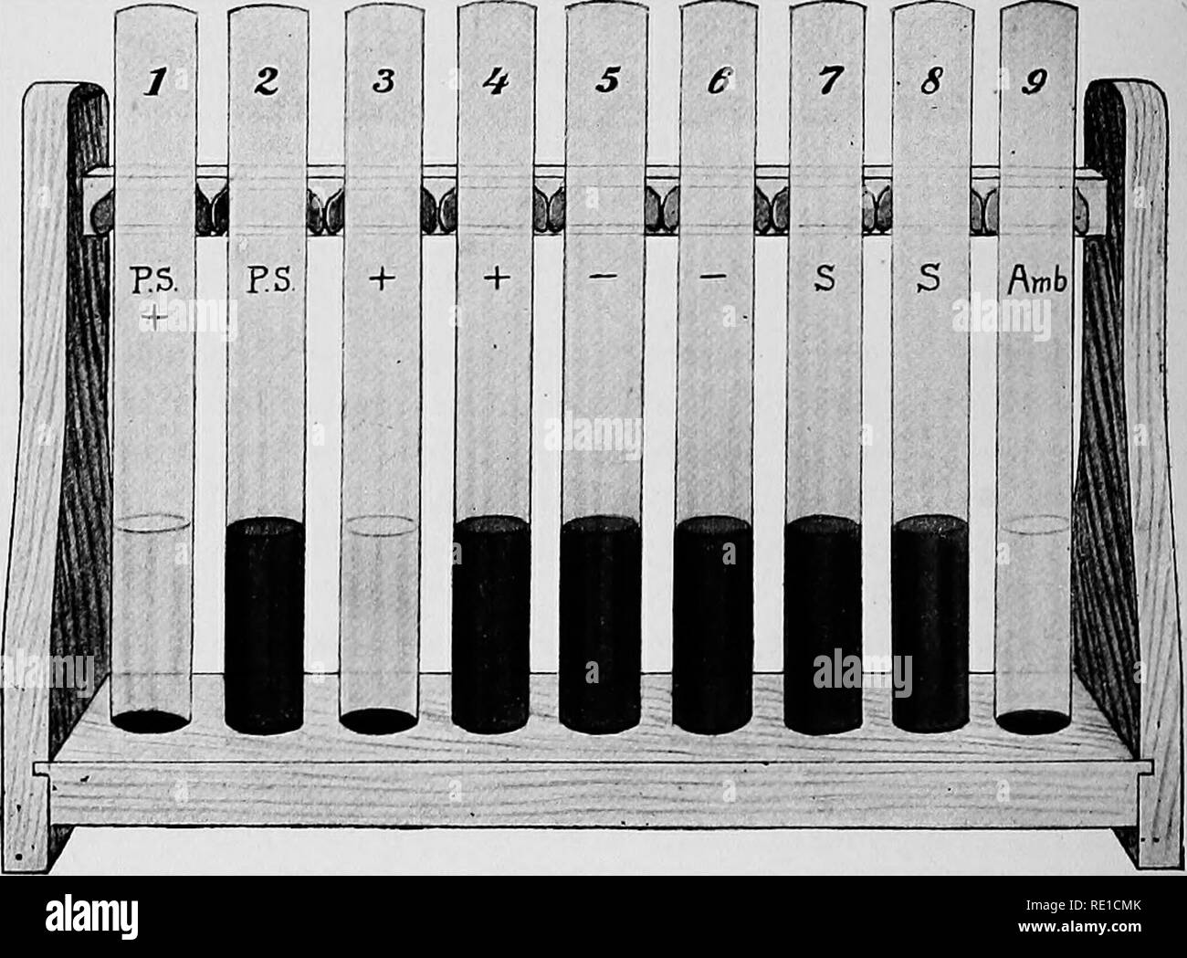 . A text-book upon the pathogenic Bacteria and Protozoa for students of ...
