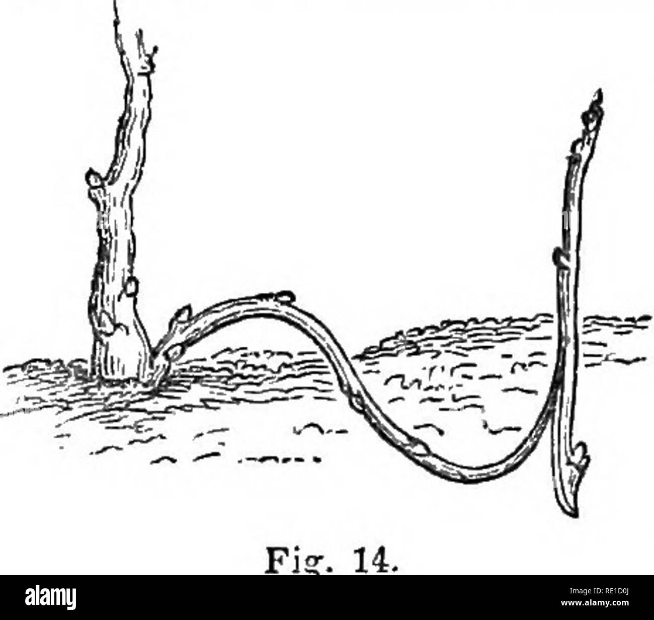 Knife Trap Most Dangerous Game