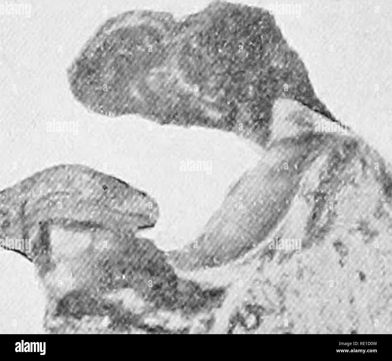 Enhanced certificate hi-res stock photography and images - Alamy