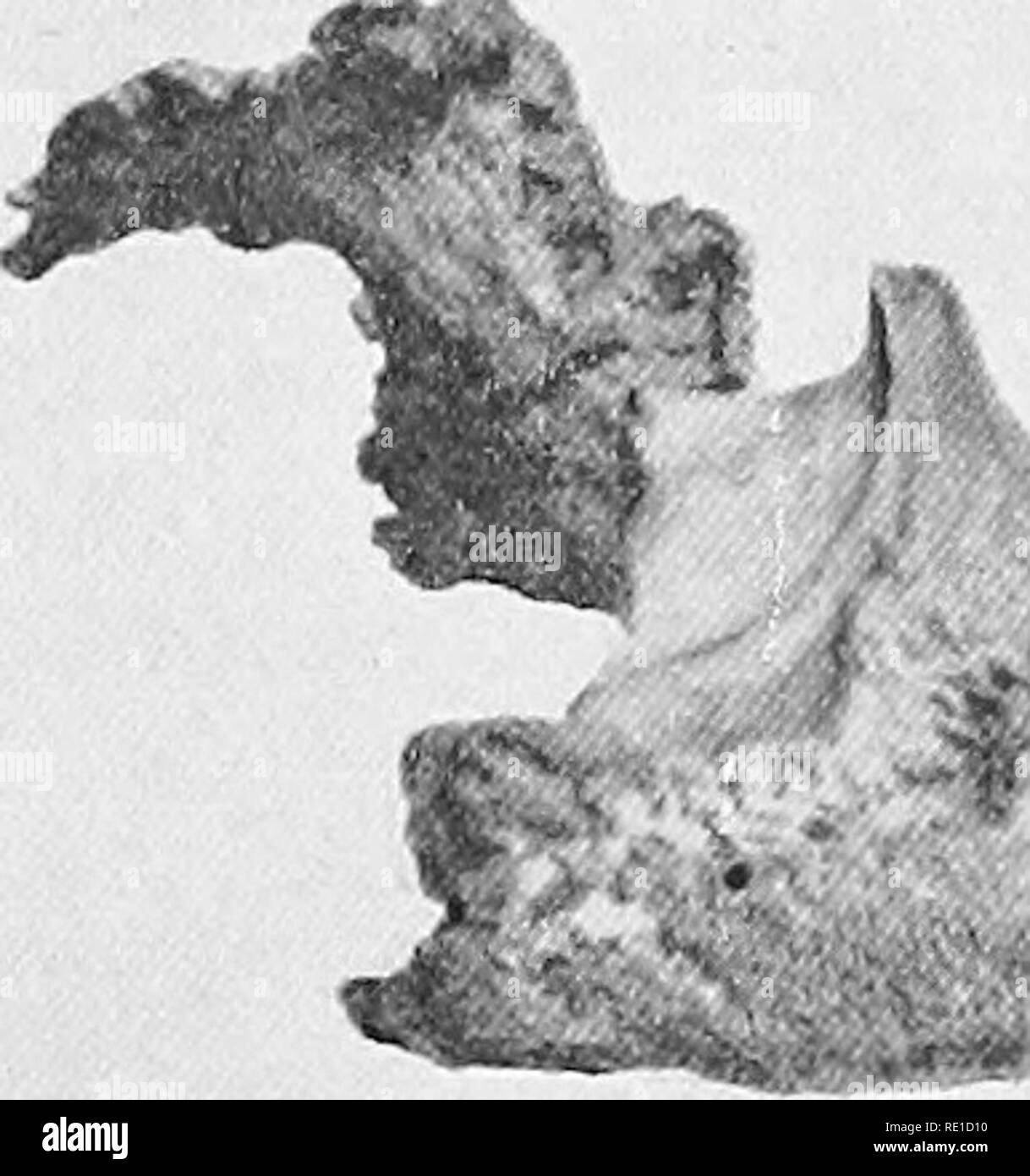 Enhanced certificate hi-res stock photography and images - Alamy