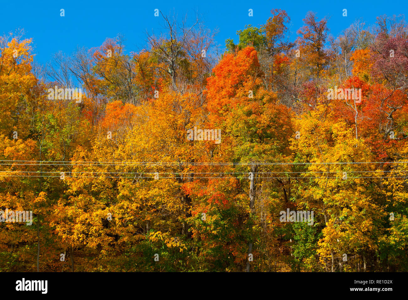 Indiana hills hi-res stock photography and images - Alamy
