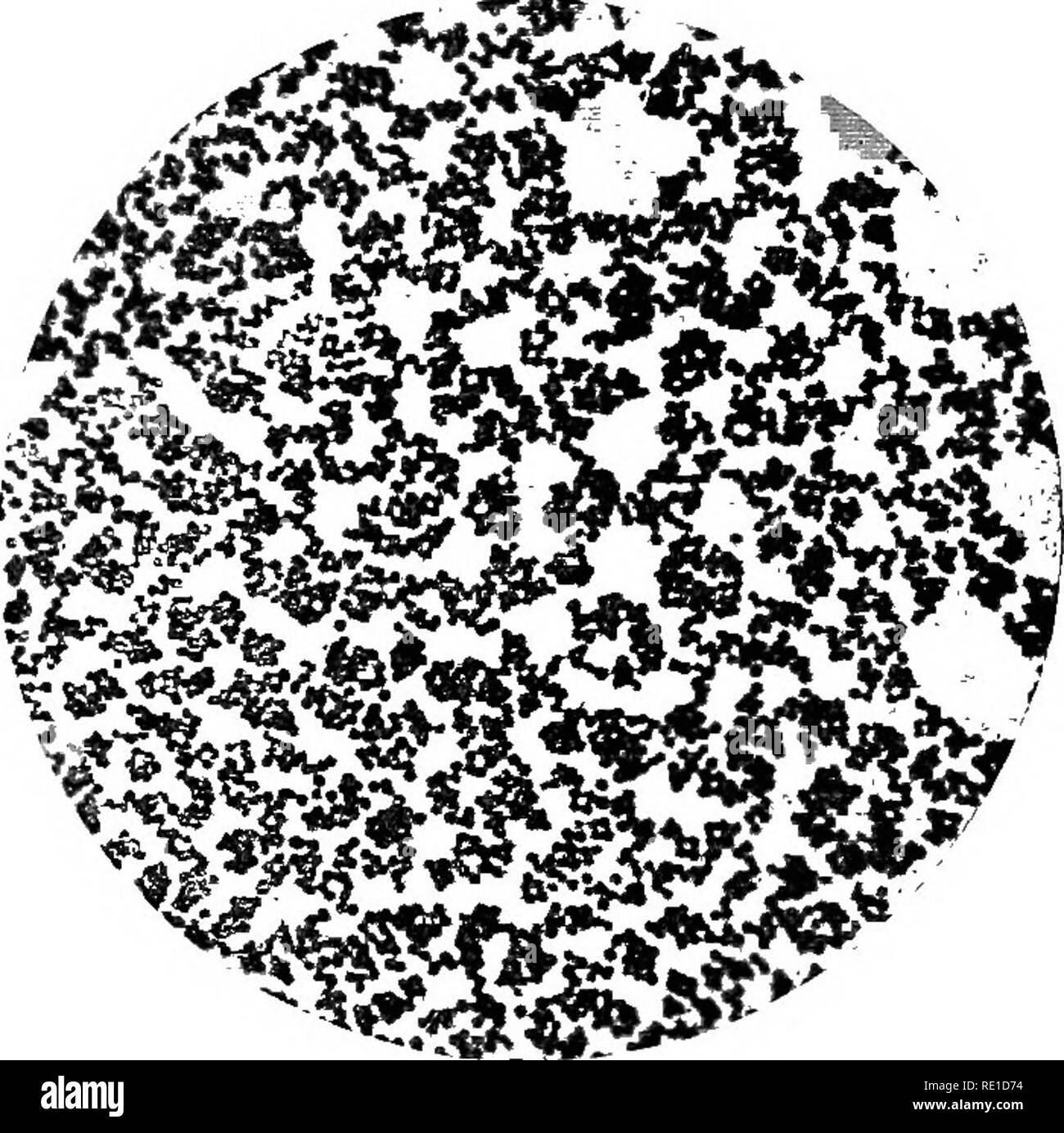 9 65 grams hi-res stock photography and images - Alamy