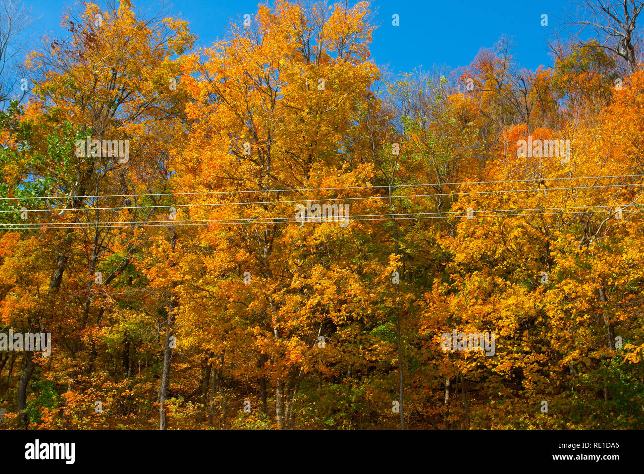 Southern Indiana Hills in Autumn Stock Photo - Alamy
