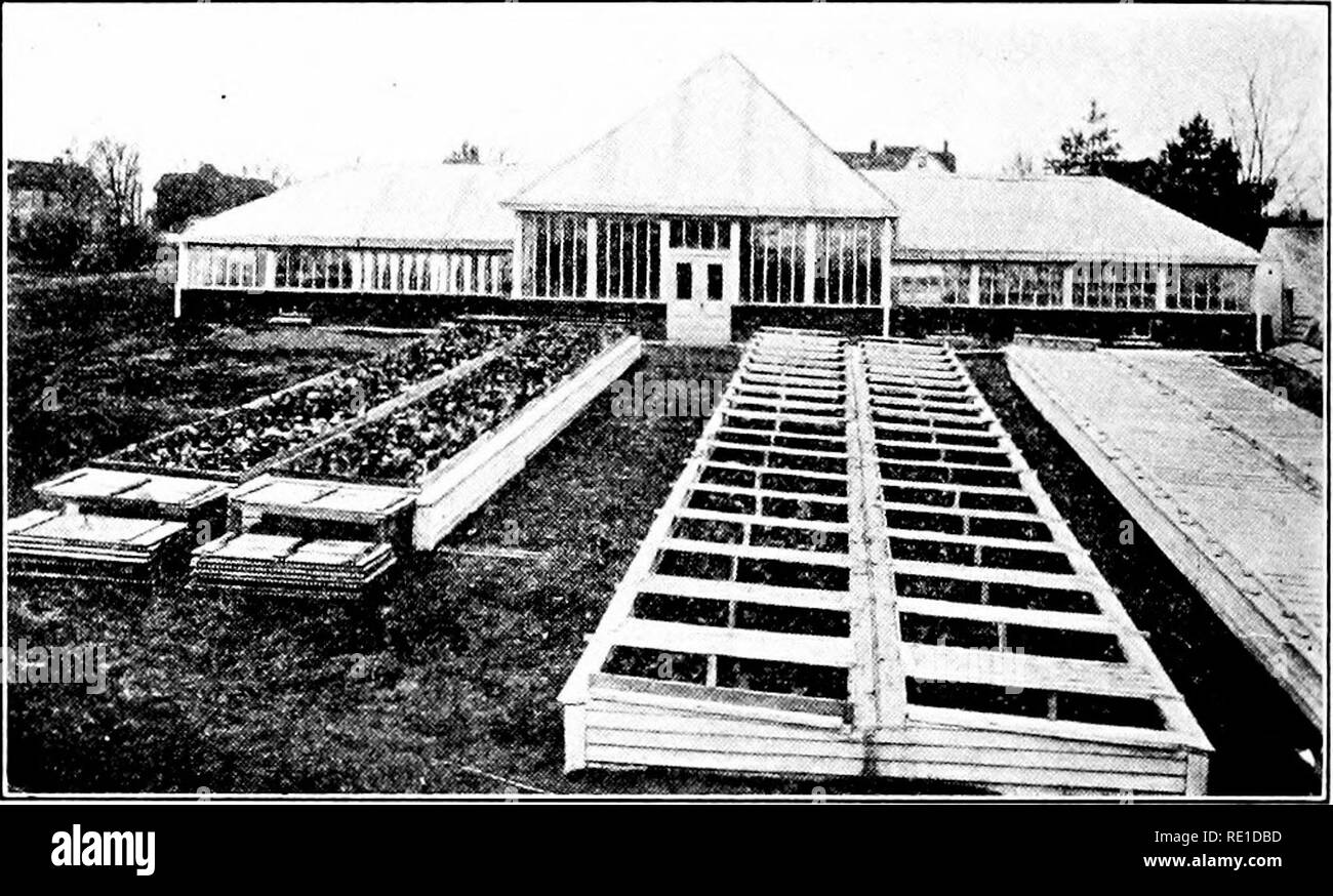 . Vegetable gardening . Vegetable gardening; Project method in teaching ...