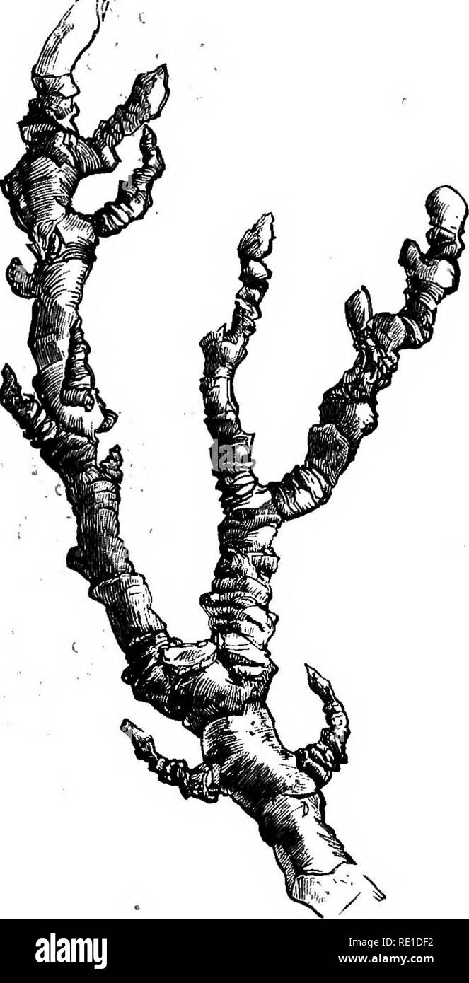 Paul ash Cut Out Stock Images & Pictures - Alamy