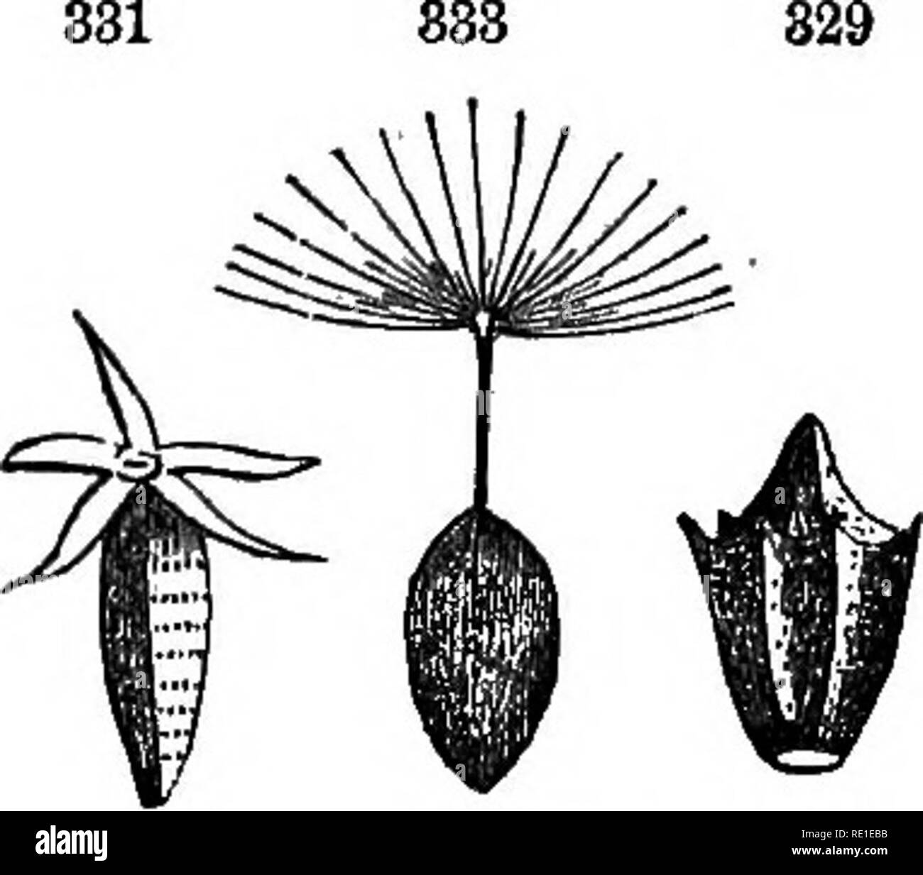 Gaping open Black and White Stock Photos & Images - Alamy