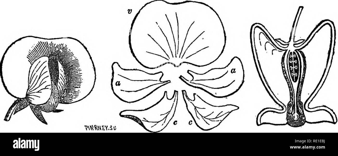 Five pe class Black and White Stock Photos & Images - Alamy