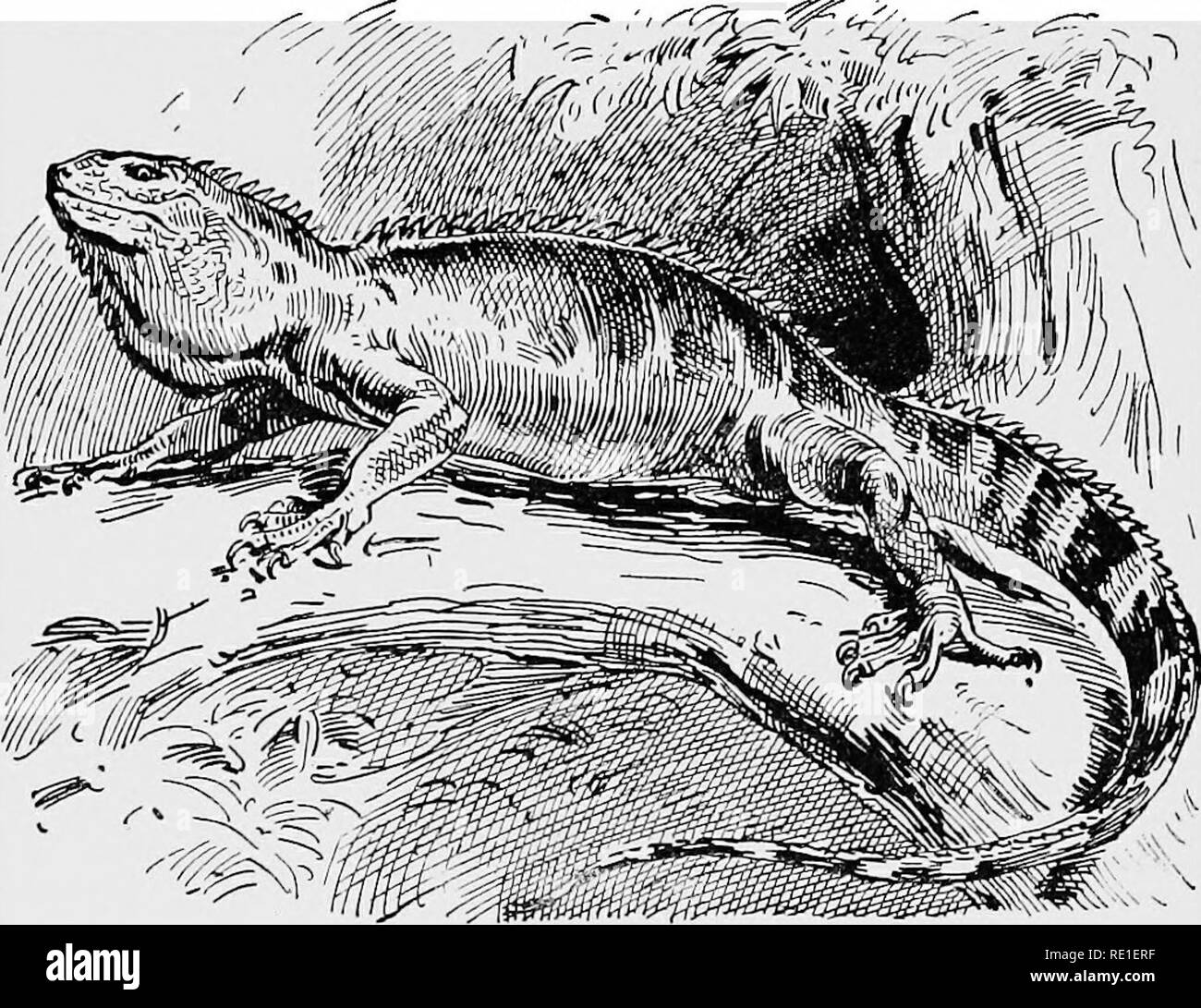 More puffing away hi-res stock photography and images - Alamy