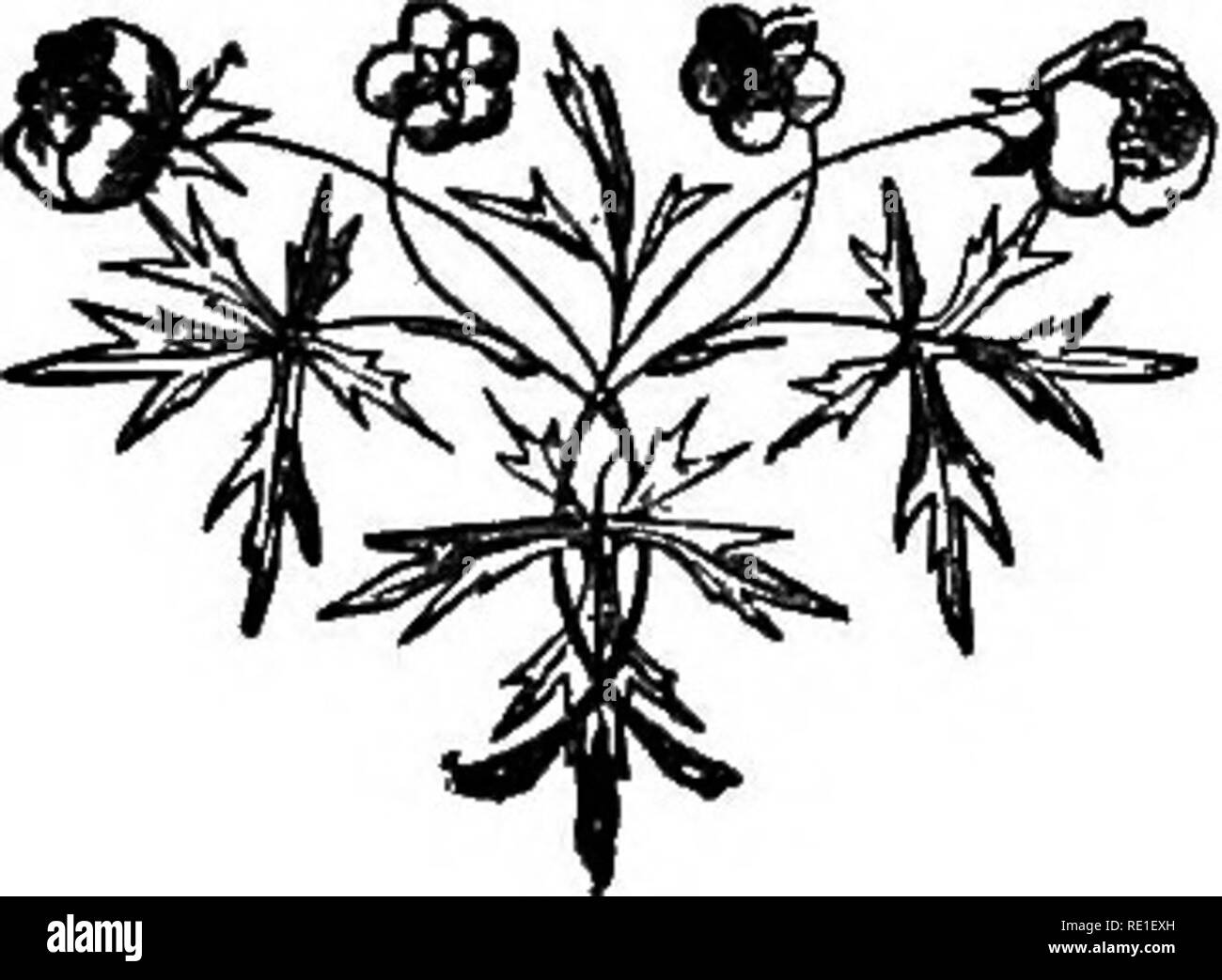 Name date written in Black and White Stock Photos & Images - Alamy